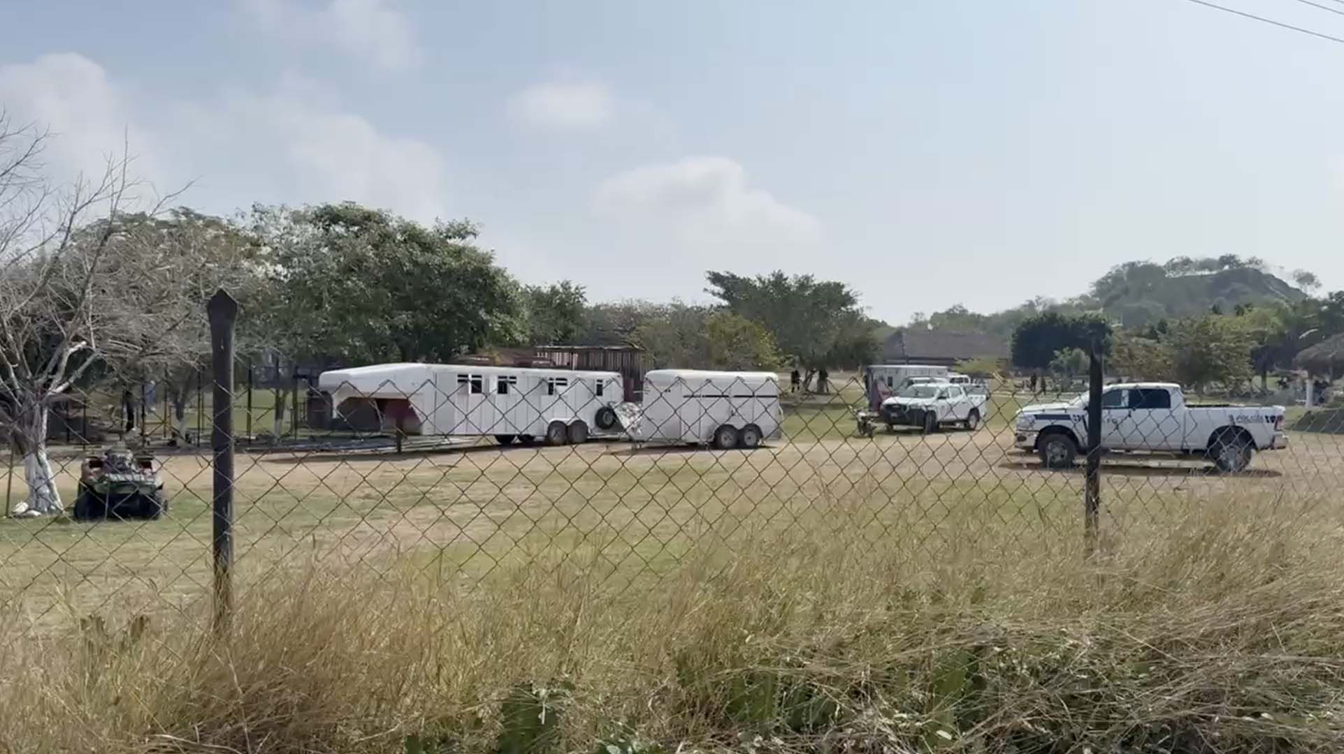 León Ataca y Mata a su Cuidador en Zoológico de Tamaulipas | N+