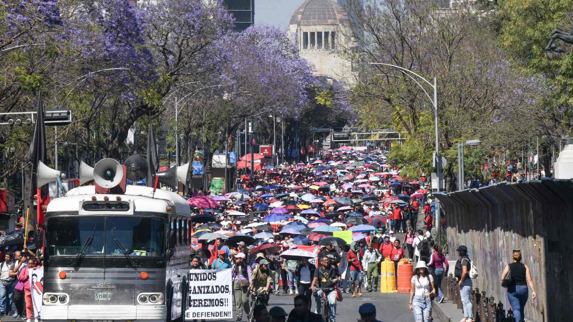 ¿Hay Clases el Miércoles 19, Jueves 20 y Viernes 21 de Marzo 2025? CNTE Da Mensaje sobre Paro ...