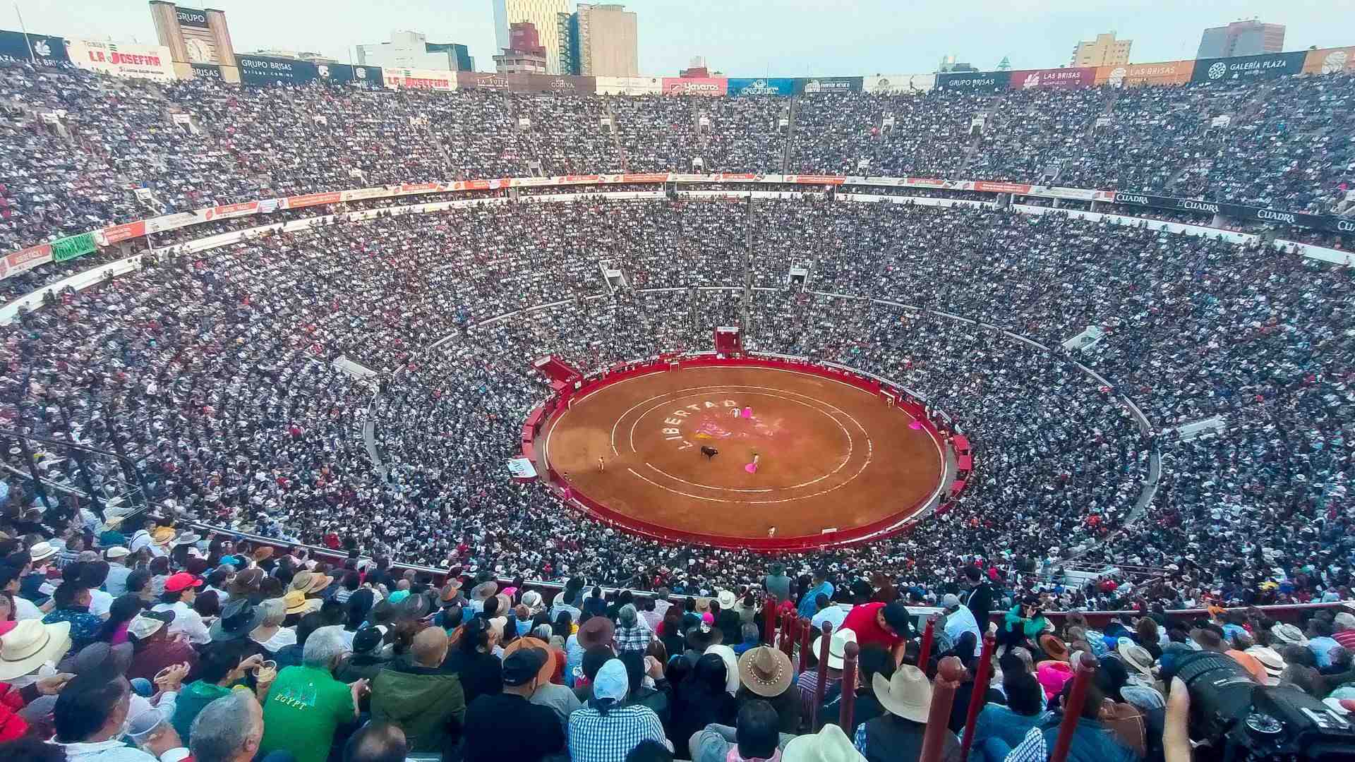 Decreto de Corridas de Toros sin Violencia Se Publica en la Gaceta de ...