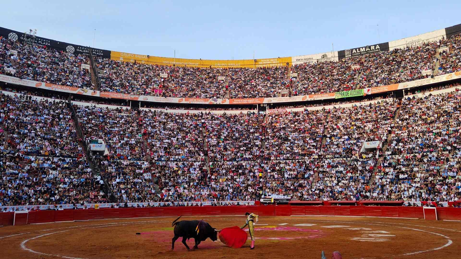 Prohibición de Corridas de Toros: Congreso CDMX Aprueba Dictamen de Fiesta Brava sin Violencia | N+