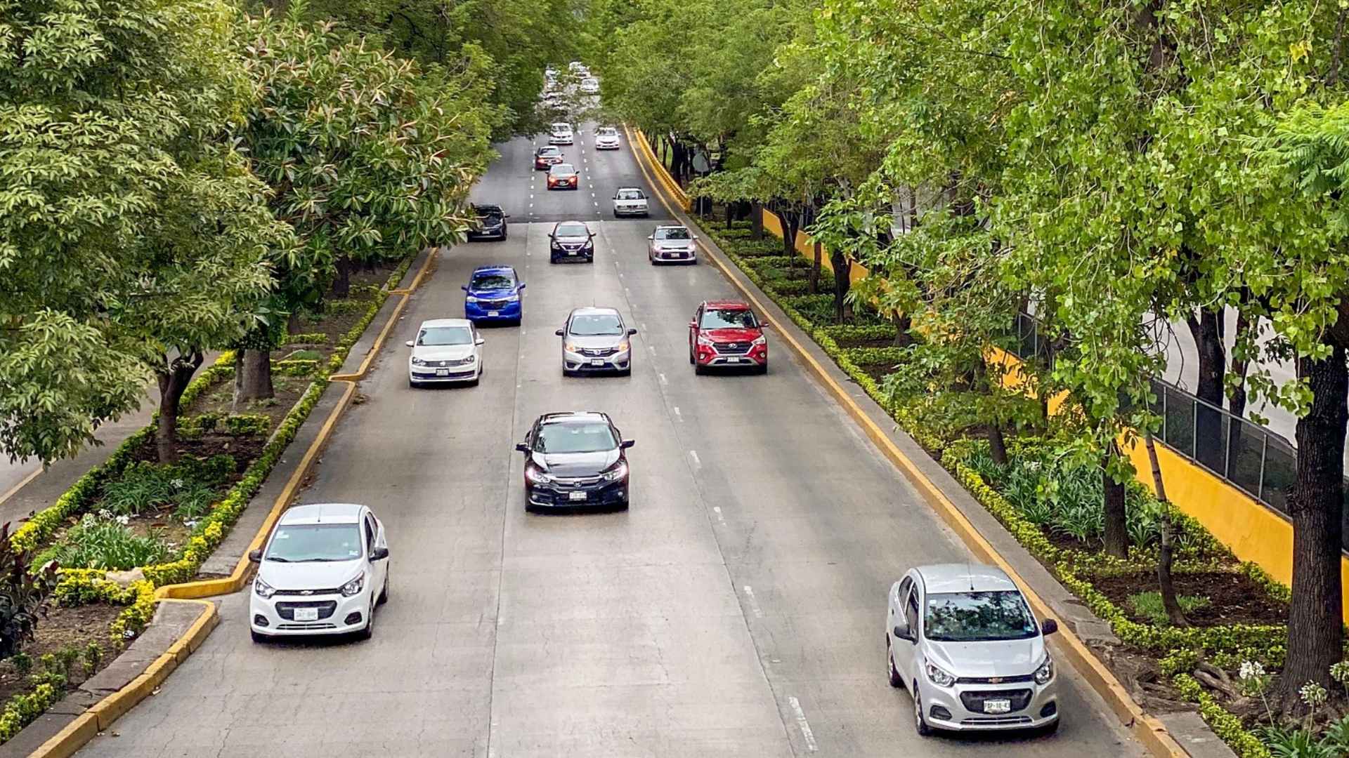 ¿Sábado de Doble Hoy No Circula 8 de Marzo 2025? Placas y Engomados Castigados en CDMX y Edomex | N+