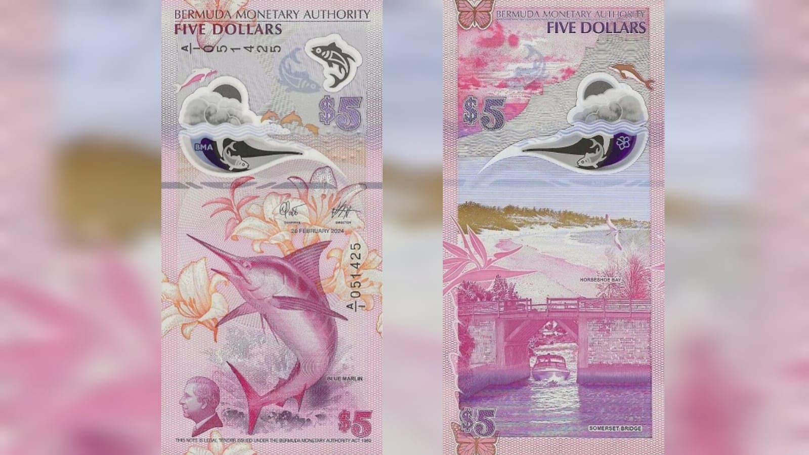 ¿Cuál es el Nuevo Billete Más Bonito del Mundo? Arrasó por Diseño y ...