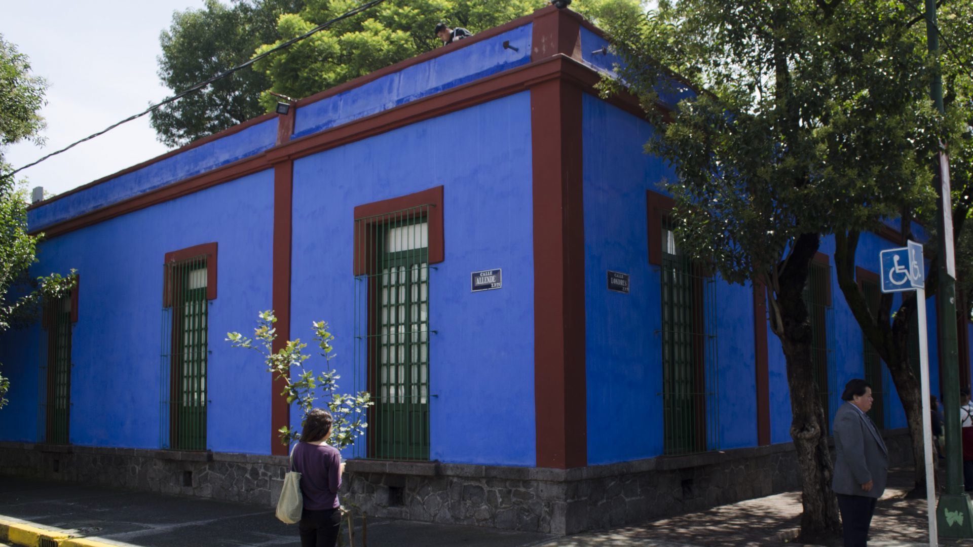 Denuncian Desaparición de Obras de Frida Kahlo de La Casa Azul en CDMX | N+