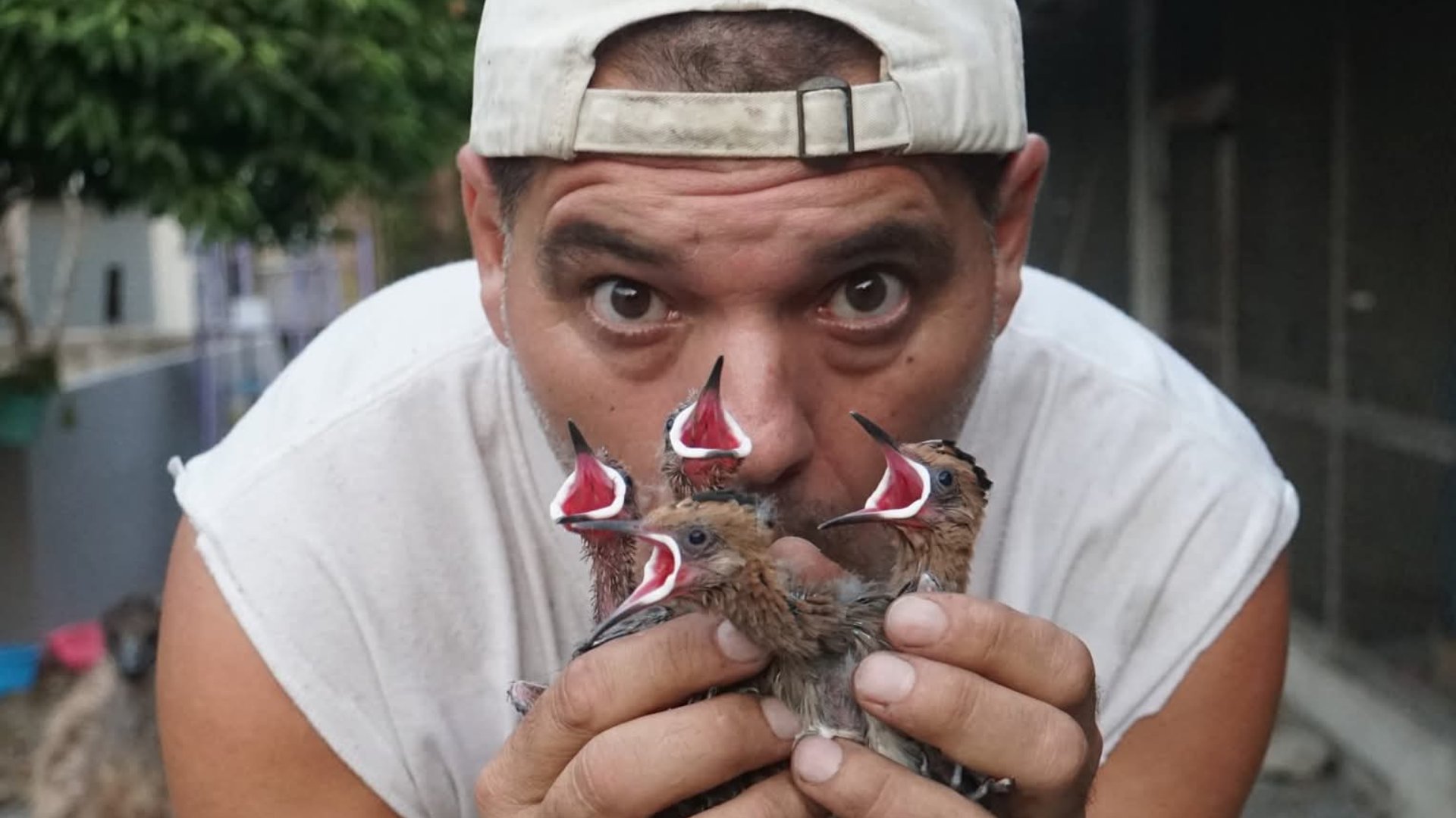 ¿Quién Es Frank Cuesta? Youtuber Exhibido con Audios y Dueño de ...