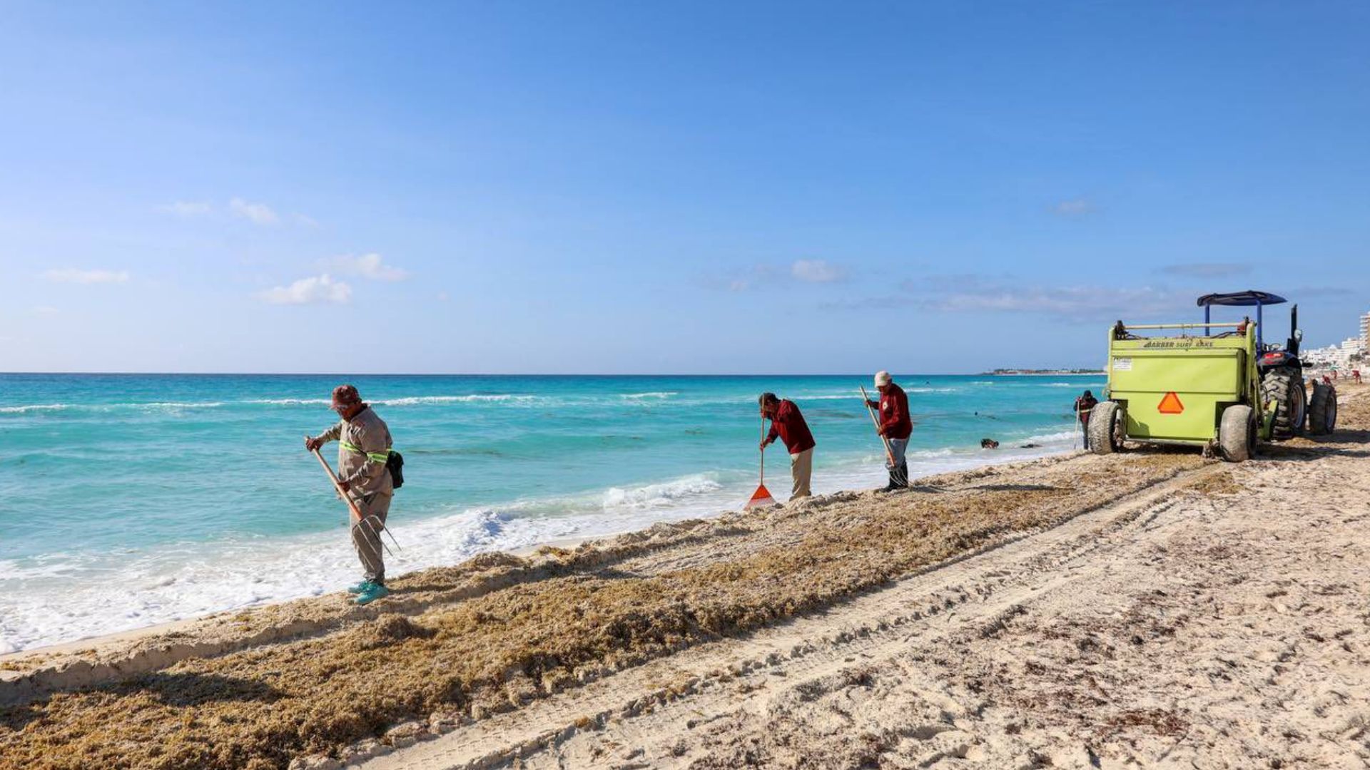 ¿Hay Sargazo en Cancún Hoy? Fotos Muestran cómo Están las Playas en Temporada de Junio 2025 | N+
