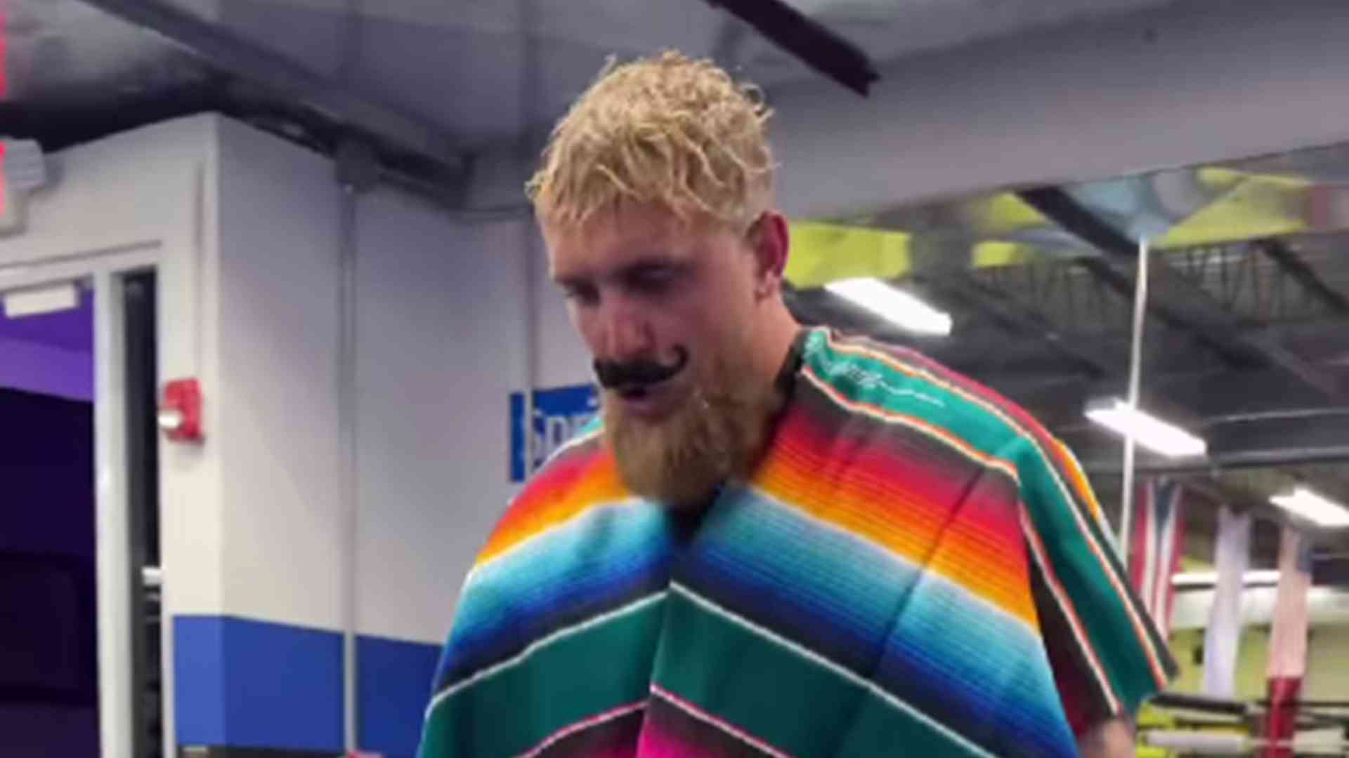 Video: Jake Paul ‘Agarra de Piñata’ a Chávez Jr. y Envía Mensaje al ...