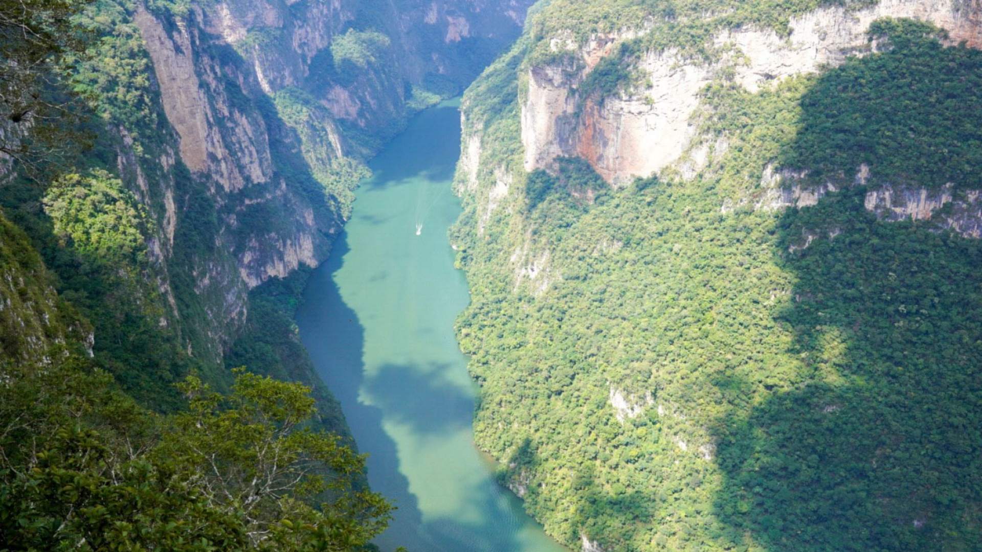 Grupo de Excursionistas Se Pierde en el Cañón del Sumidero: Así Rescataron a los 7 Jóvenes | N+