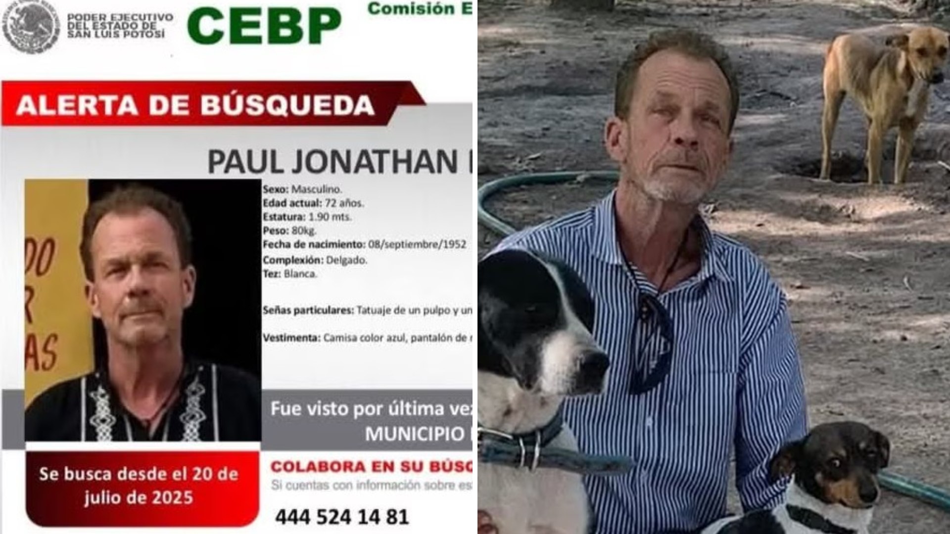 Caso Paul Jonathan Brown: Desaparece Estadounidense Fundador de Refugio para Perros en San Luis ...