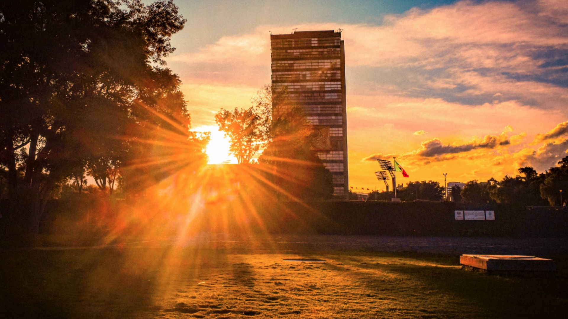 ¿Cuándo Salen los Resultados de Pase Reglamentado UNAM 2025 para ...
