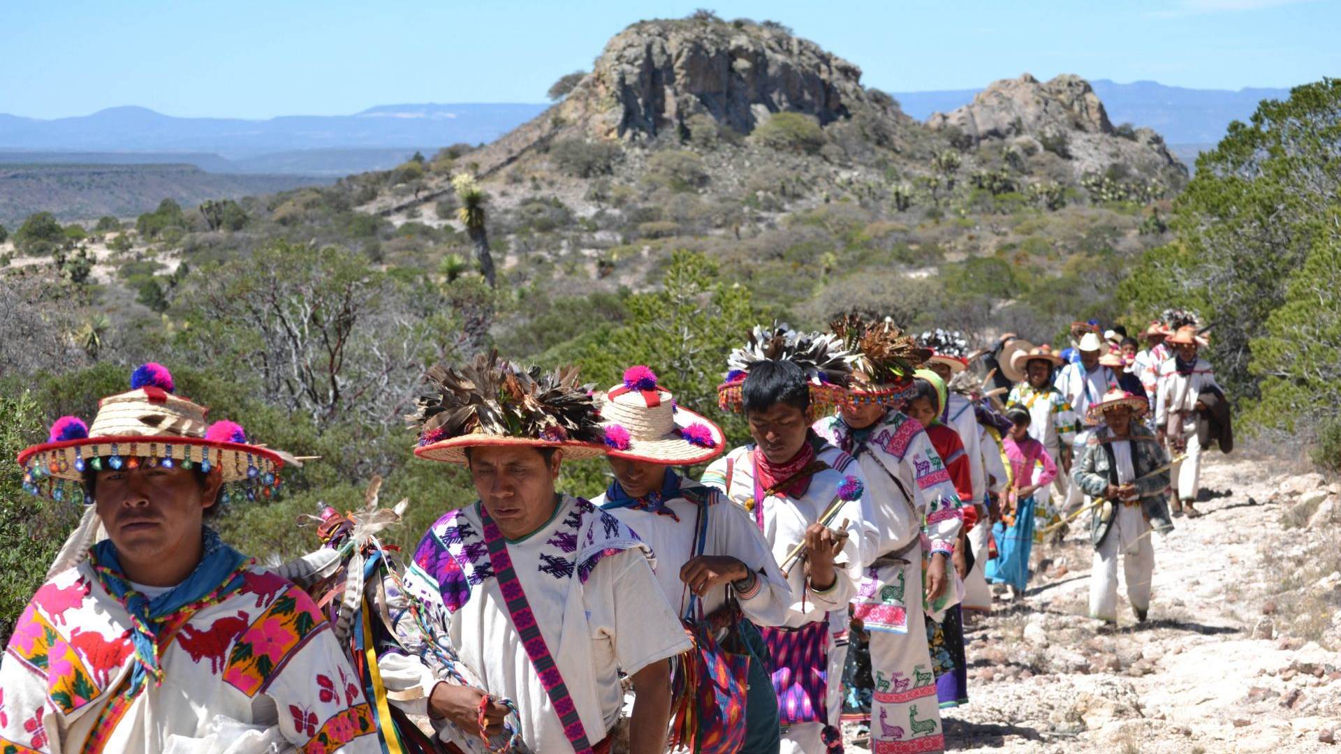 ¿Dónde Está la Ruta Wixárika en México? Camino Precolombino, Designado ...