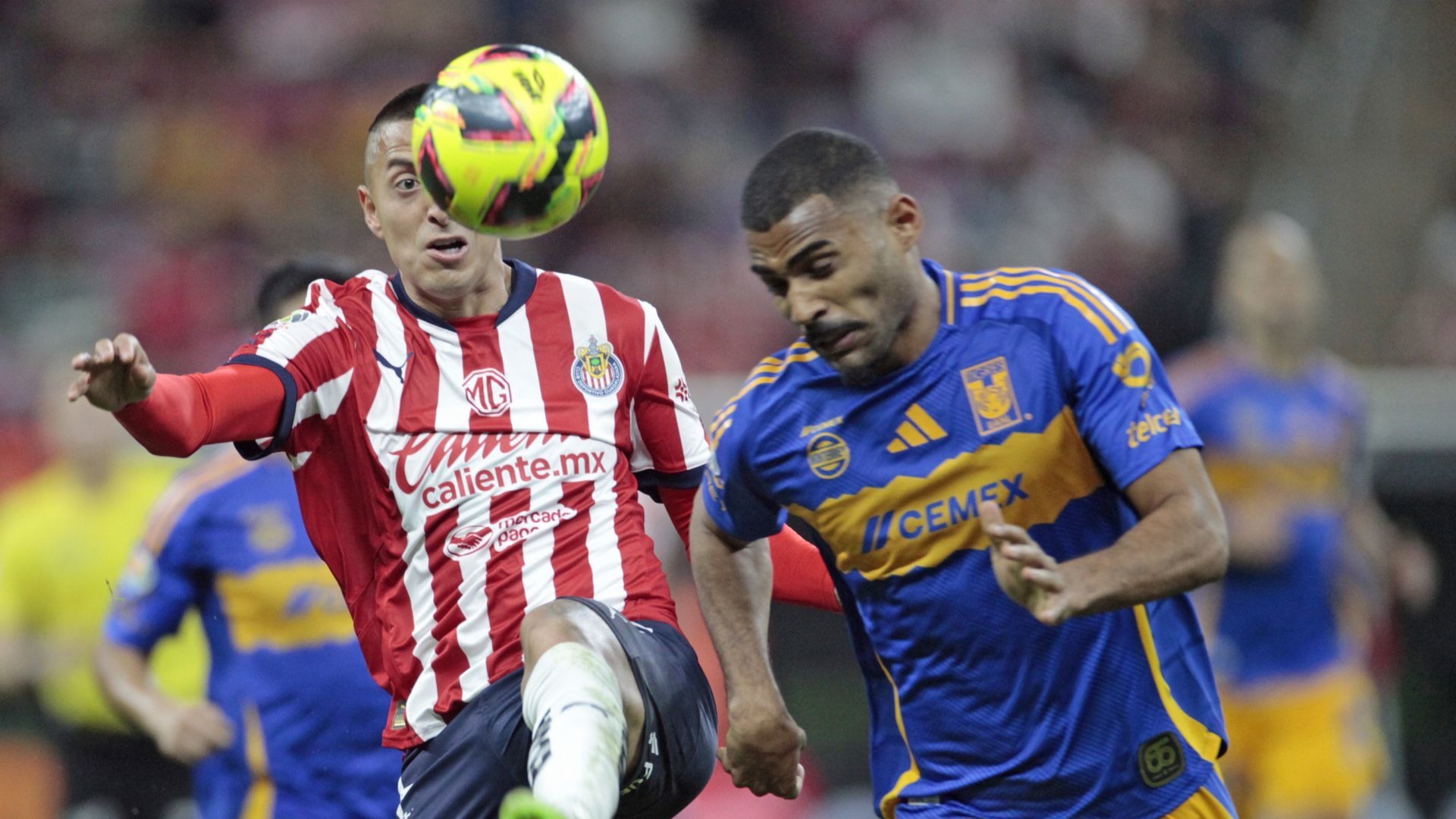 Chivas vs Tigres: Fecha y Hora del Partido Pendiente de la Jornada 1 de ...