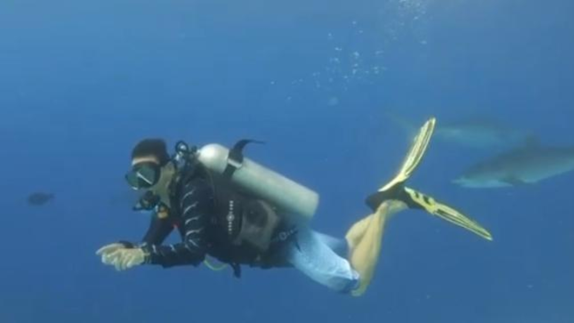 Caso Mauricio Hoyos: Biólogo Mexicano Atacado por Tiburón Es Atendido ...