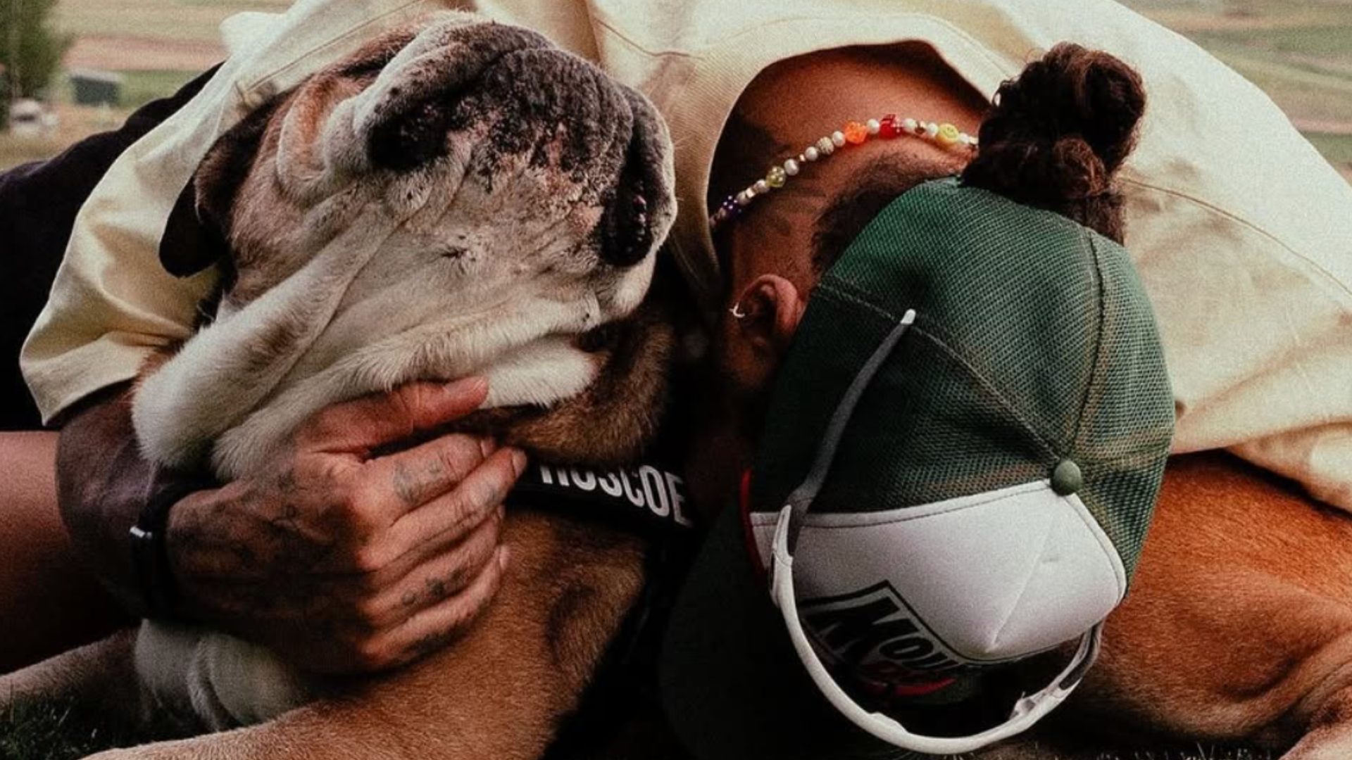 Muere Roscoe, Perrito de Lewis Hamilton: Este Es el Emotivo Mensaje que ...