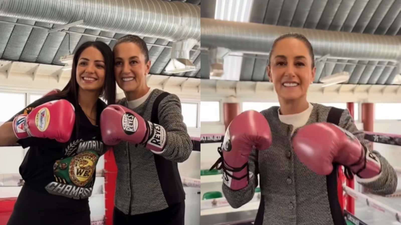 Claudia Sheinbaum se Pone lo Guantes y Boxea con La Bonita Fernández en ...