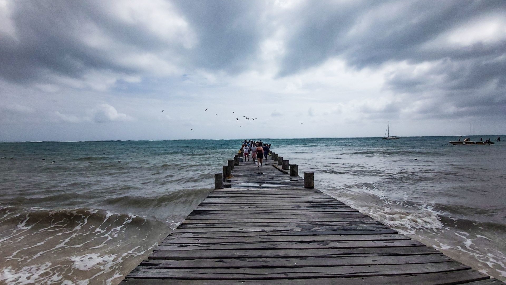 ¿Lloverá mañana en México? El clima de este 12 de noviembre 2022 | N+