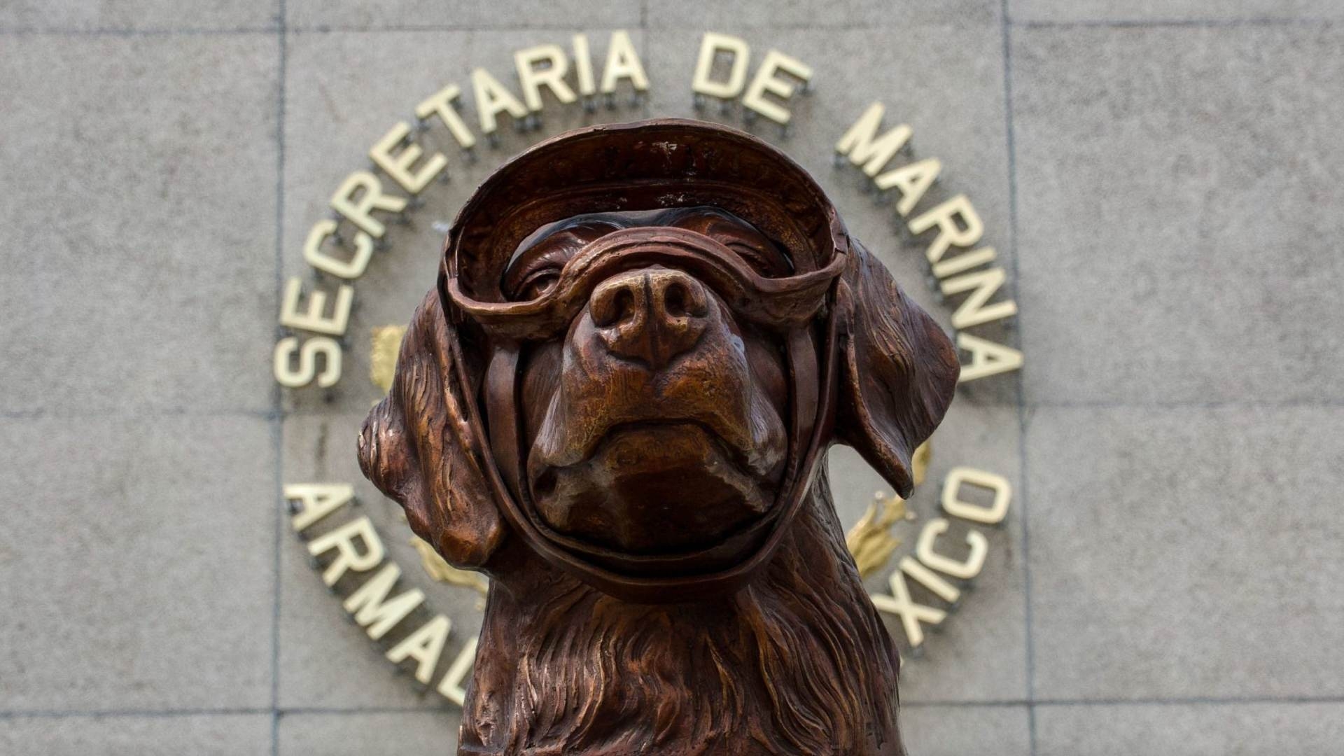 Perrita Frida recibe emotivo homenaje póstumo: "Hasta la próxima misión ...