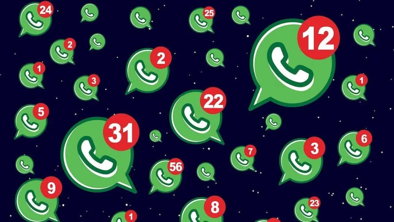 ¿Cómo activar el flash para las notificaciones en WhatsApp? | N+