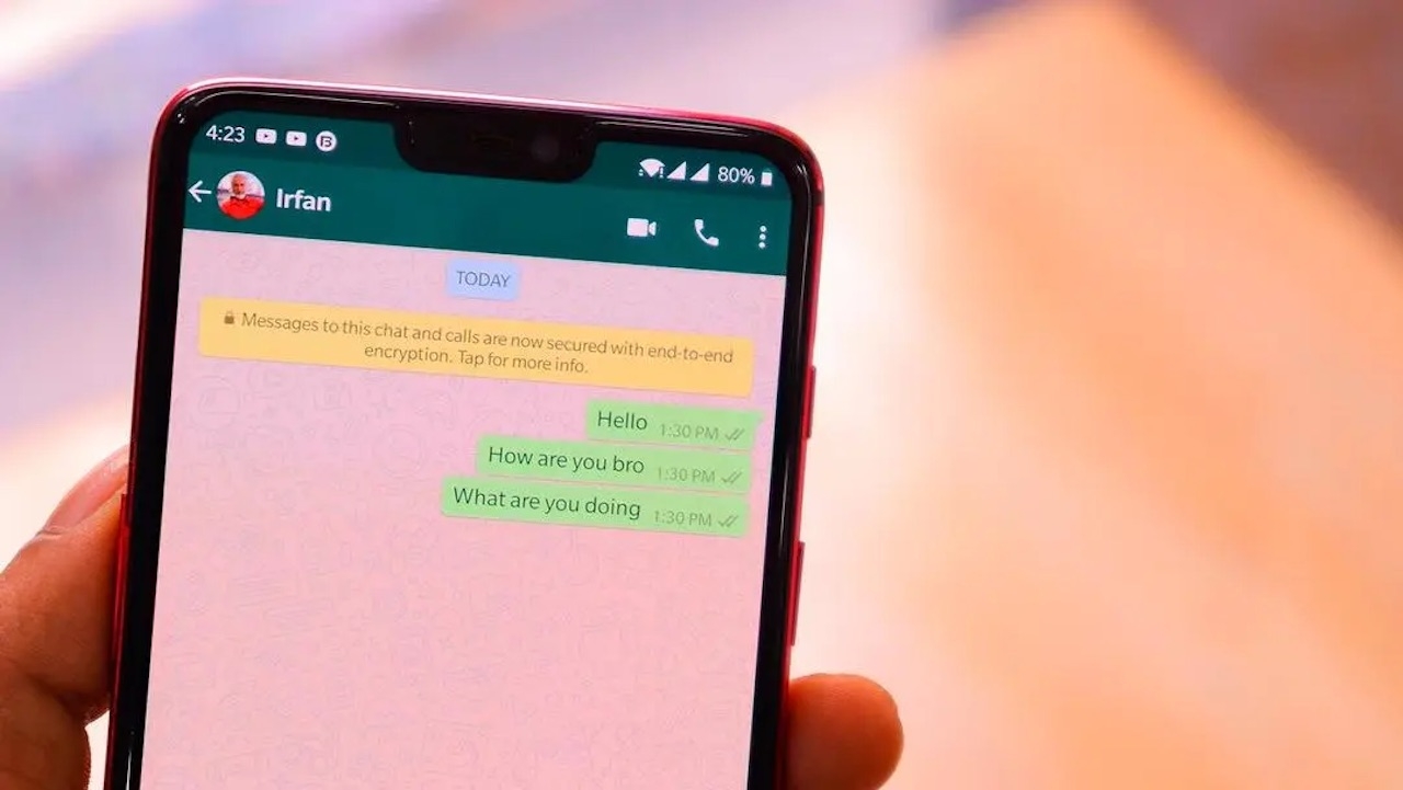 Cómo borrar audios de WhatsApp sin eliminar conversaciones | N+