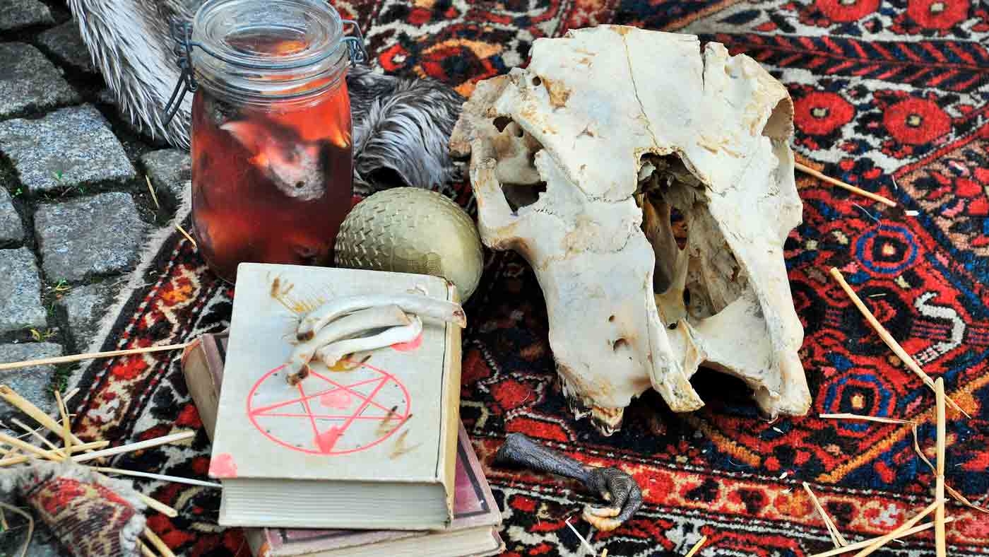 Secta utilizaba animales para rituales, detienen a 9 | N+