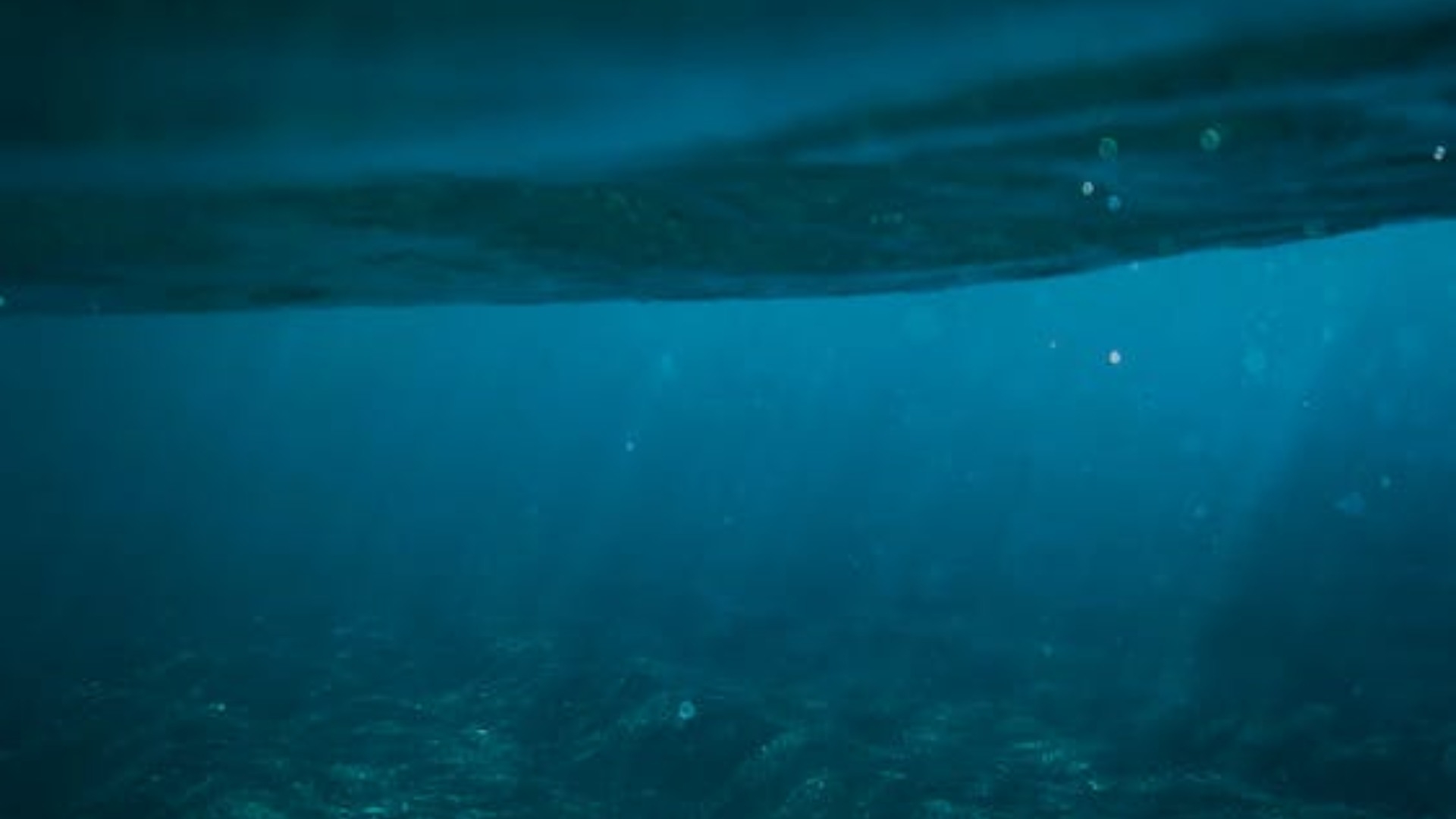 Fondo Marino Profundo Cómo Son Las Profundidades Del Océano Y Por