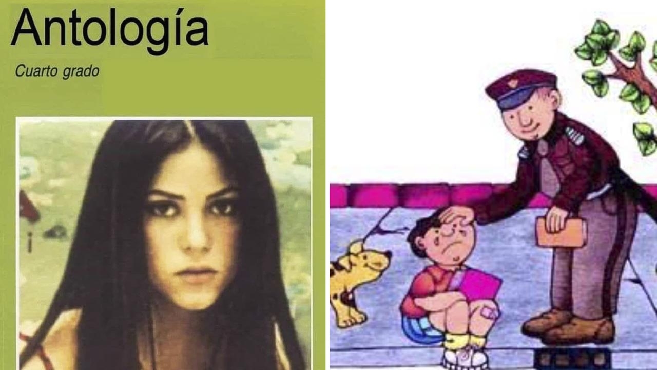 Libro Sobre Los Memes