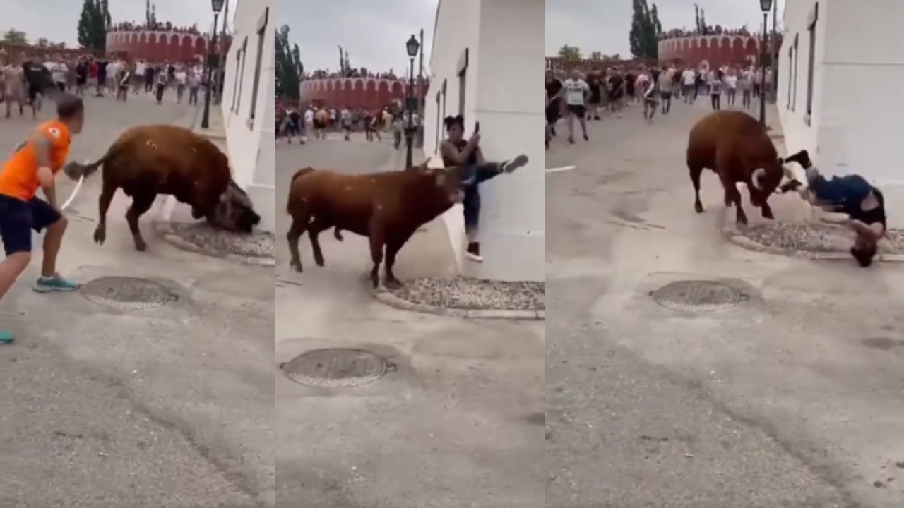 Toro Embiste a Mujer Distraída con su Celular en San Fermín | Video | N+