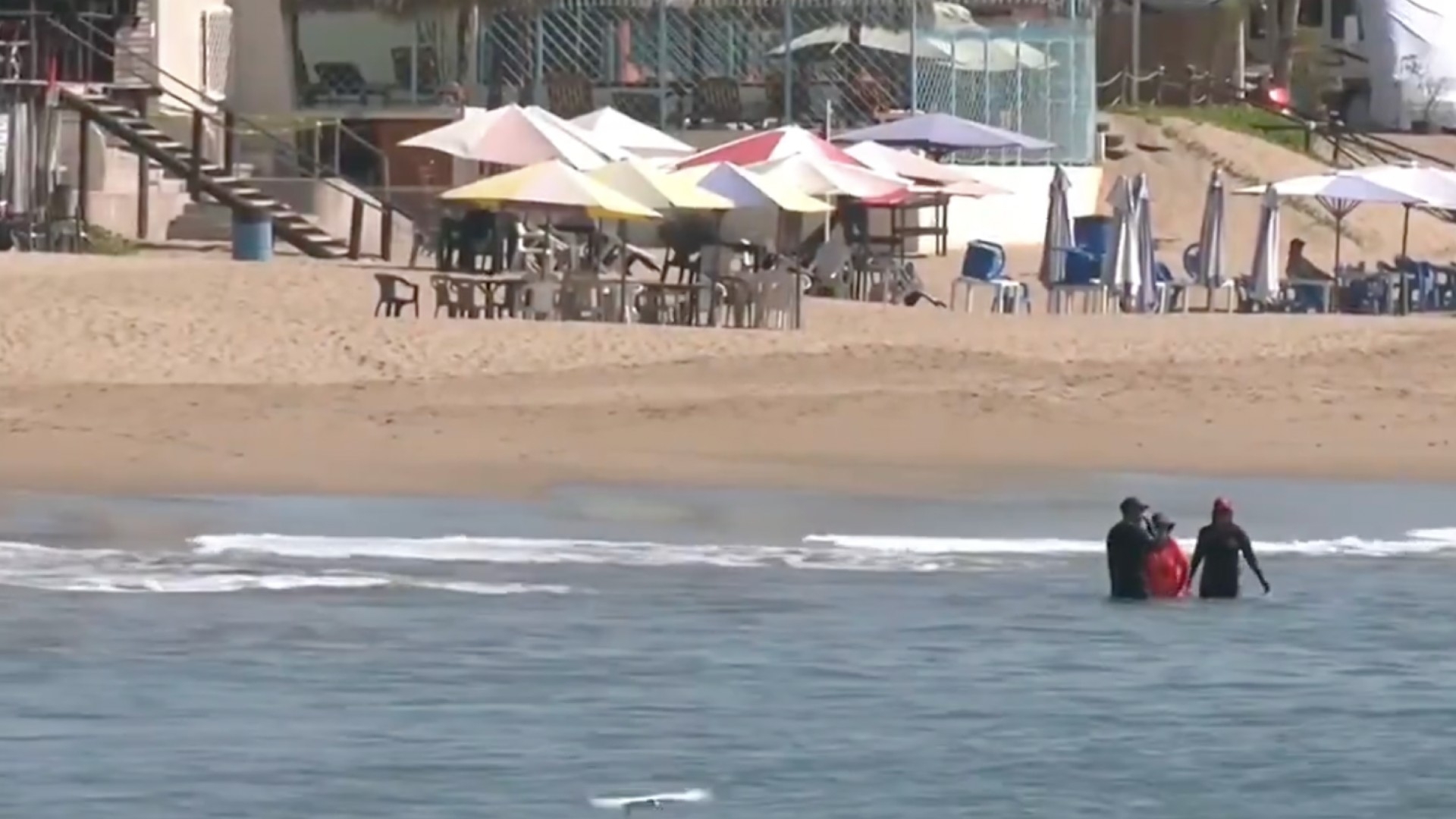 Jalisco Reabre Playa Melaque Tras Ataque de Tiburón que Mató a Mujer | N+