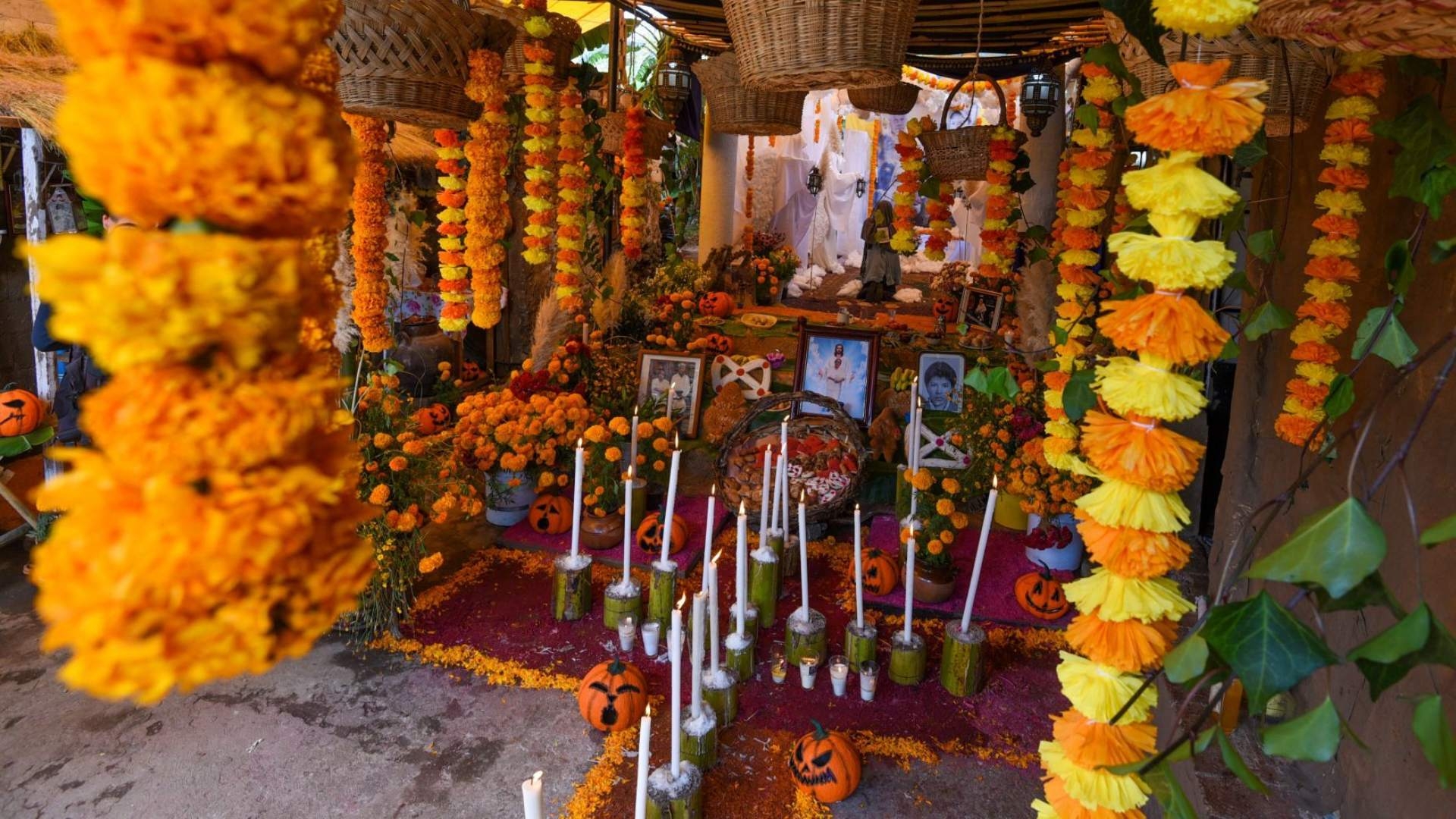Partes de un Altar de Muertos: ¿Qué Elementos Debe Llevar la Ofrenda y ...