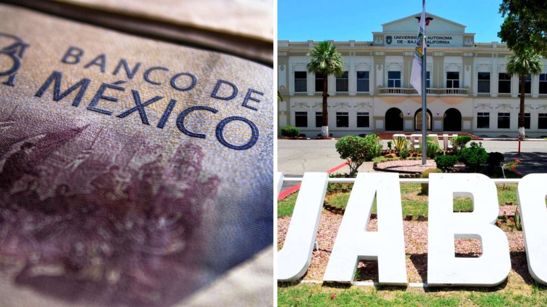 Boleto Ganador de 25 Millones de Pesos de Sorteo UABC Cae en Mexicali | N+