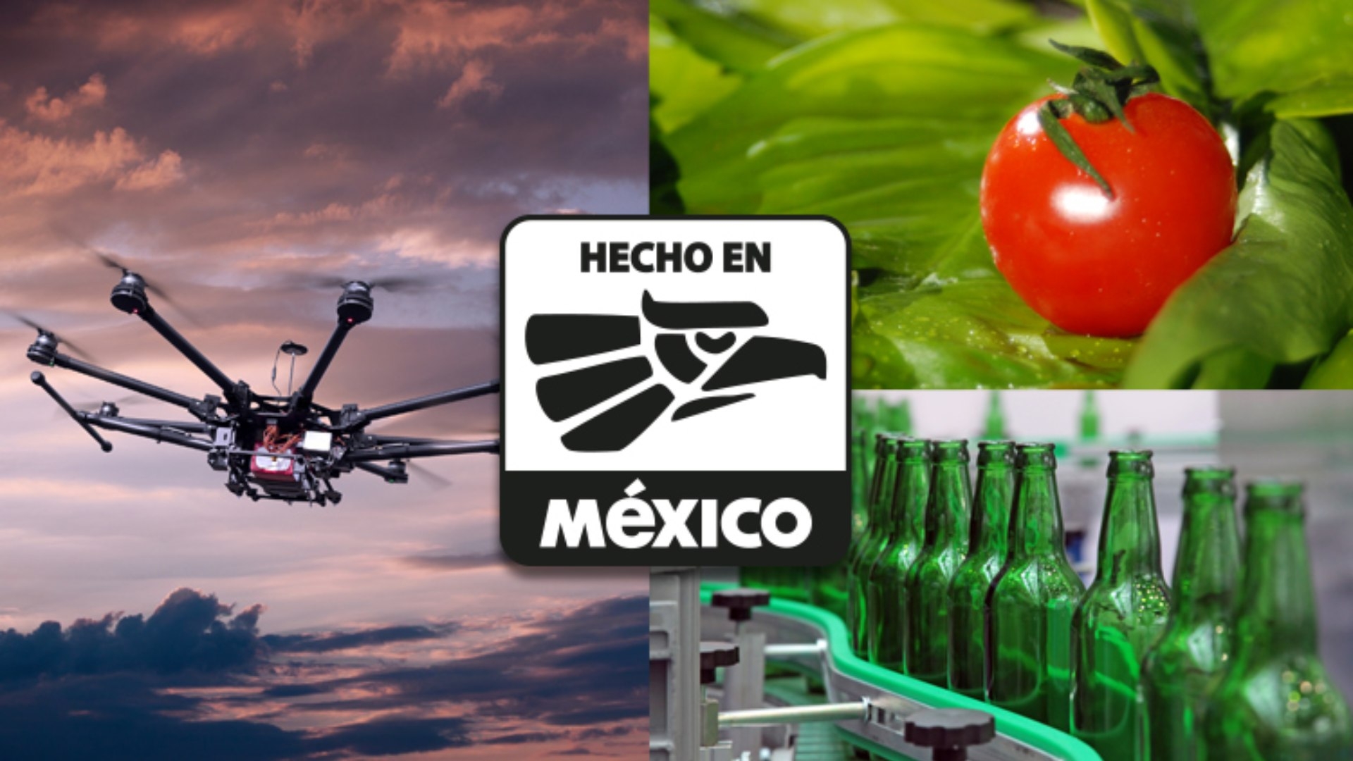 Logo 'Hecho En México': Quién Hizo el Sello, Qué Significa y Cuándo ...