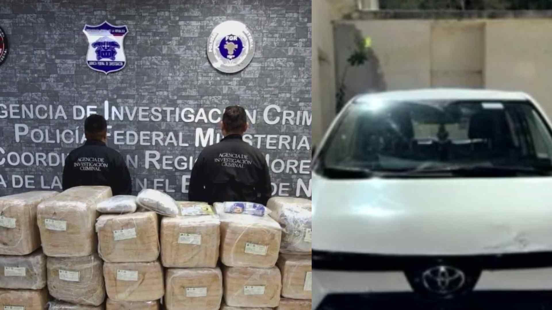 Aseguran Más De 350 Kilos De Marihuana Durante Cateo En Apodaca Nuevo