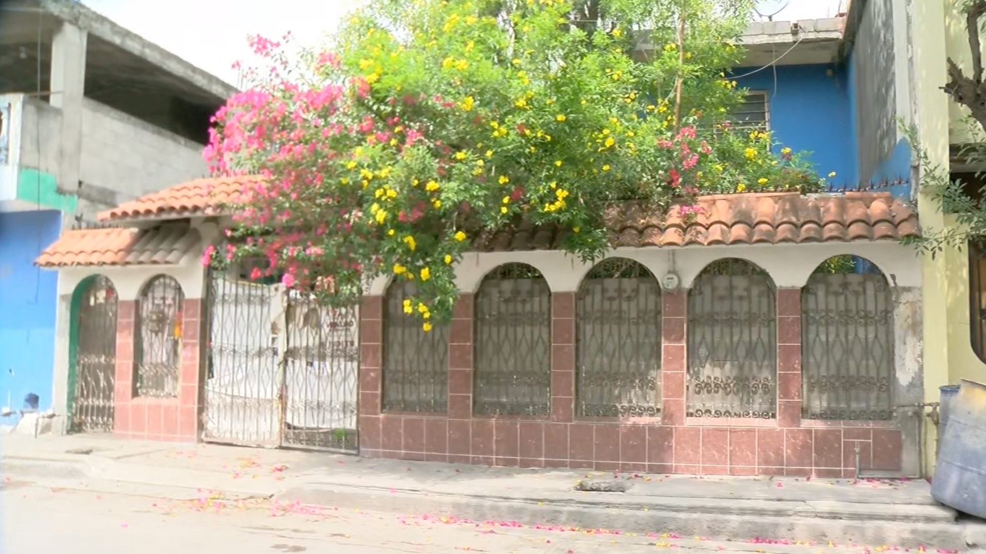 Rescatan a Dos Menores tras Cateo de Casa por Trabajo Infantil en ...