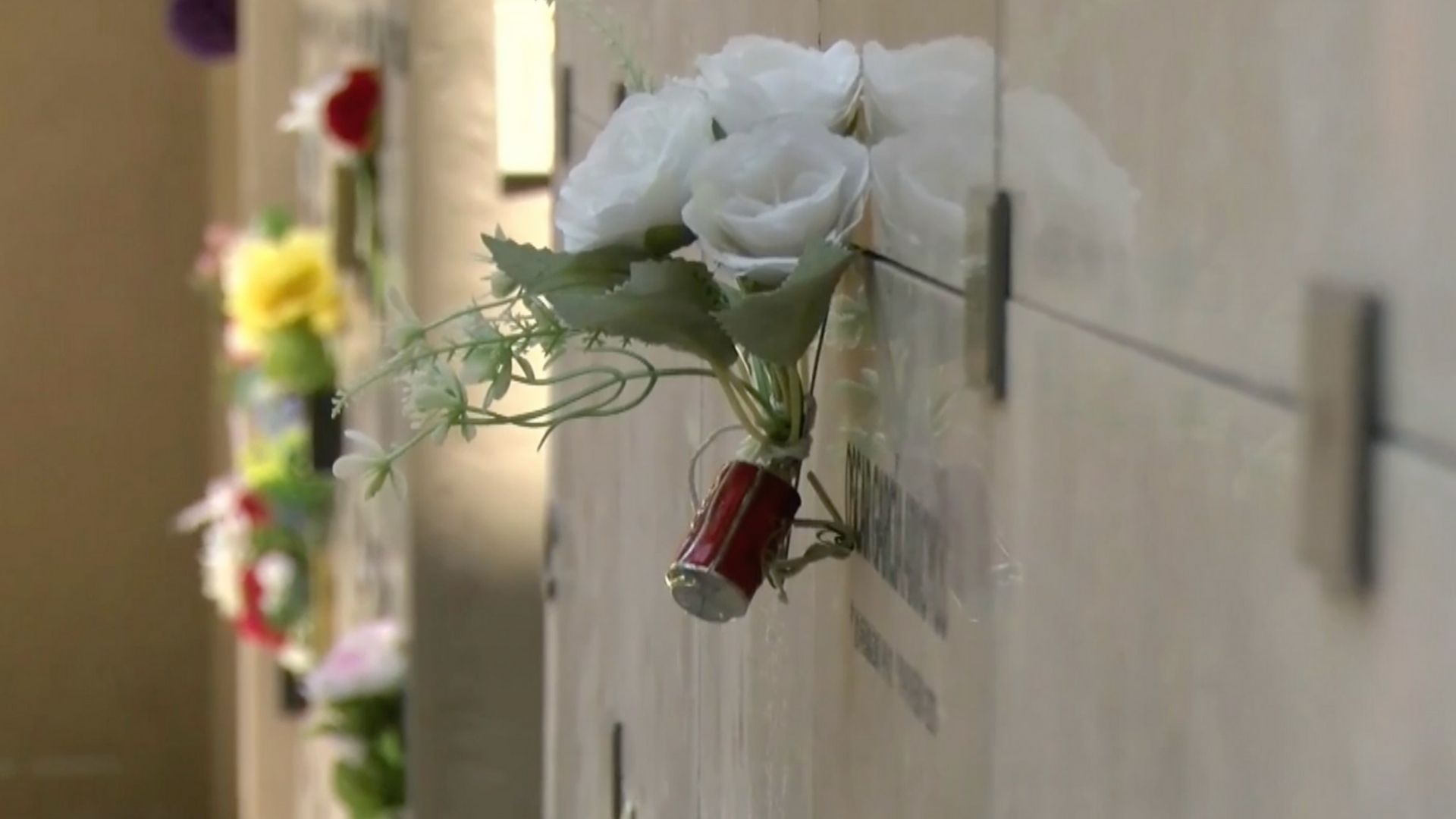 ¿Cómo es el Proceso Correcto de Cremación? Esto Dicen Expertos en ...