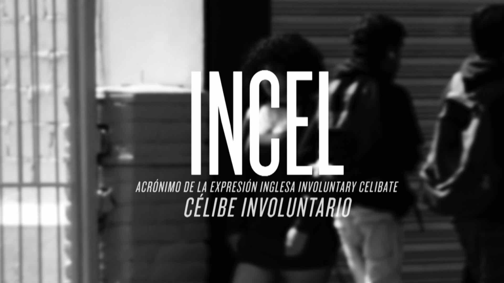 ¿Qué son los INCELS? Expertos de Jalisco Explican | N+