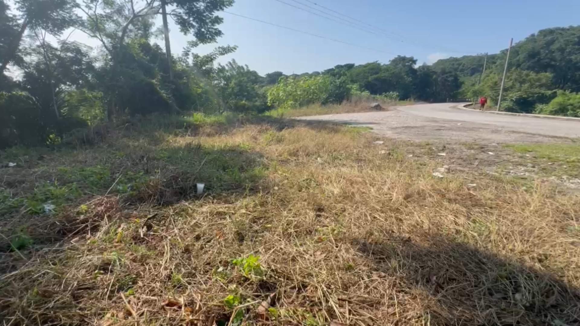 Abandonan un Cuerpo Sin Vida Encobijado en Yanga, Veracruz; Presentaba Signos de Violencia | N+