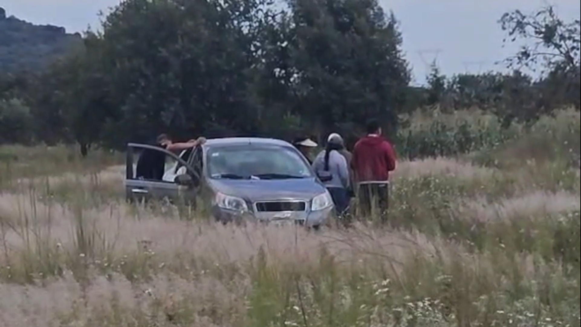 Encuentran a Mujer Sin Vida Hincada y Rodeada de Abejas en Puebla ...