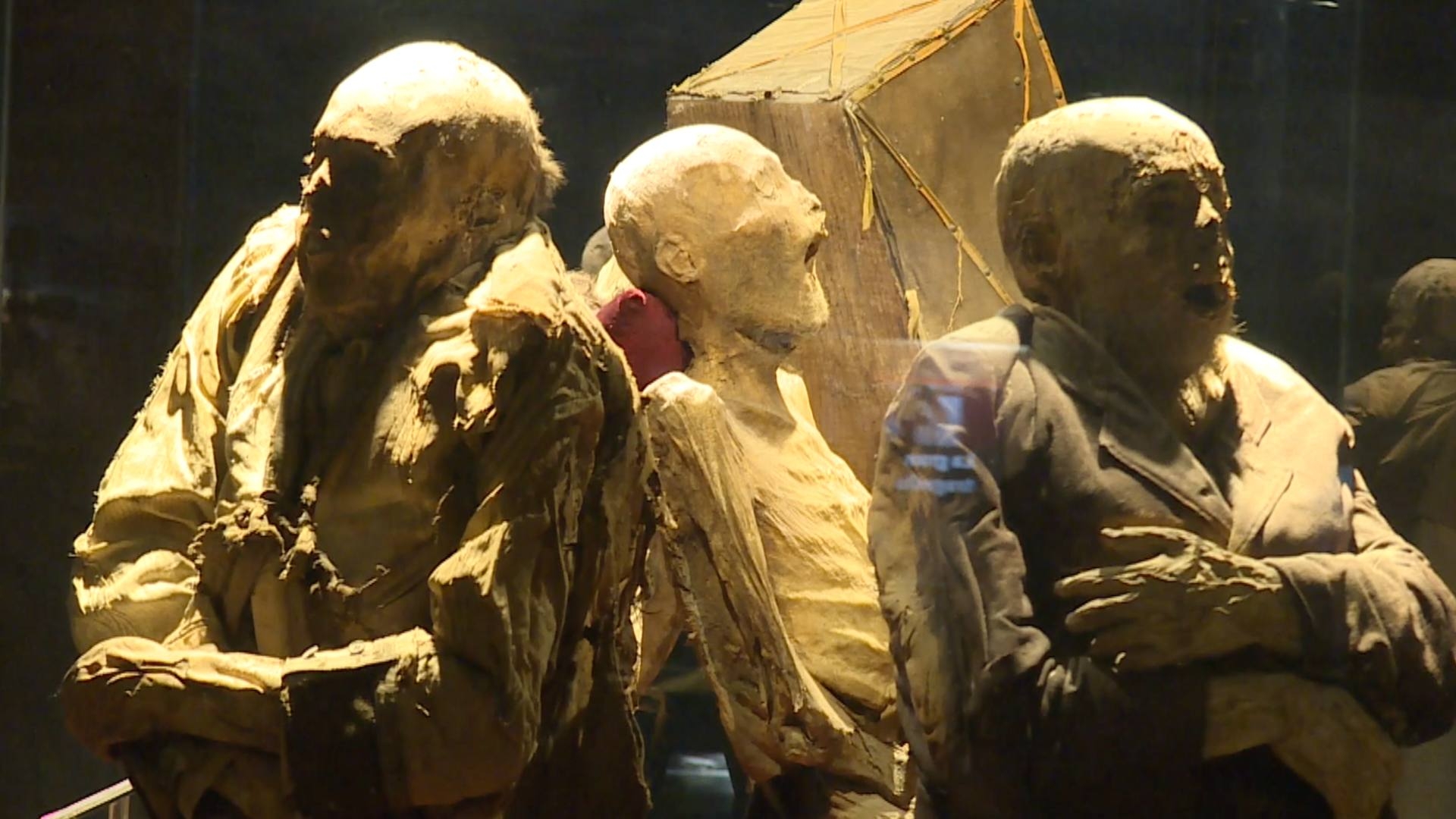 Museo de las Momias de Guanajuato: ¿Cuál es su Horario, Precio en 2025 ...