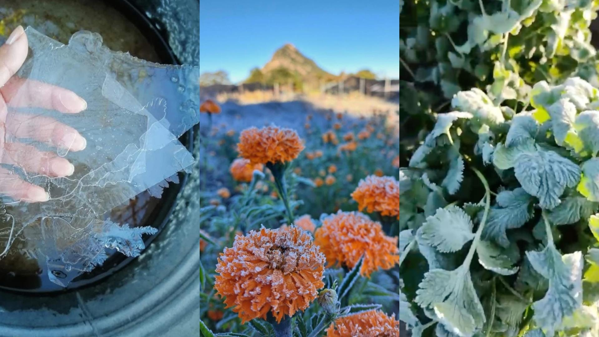 Paisaje Invernal en Tlaxcala: Llegan a Temperaturas Bajo Cero por ...