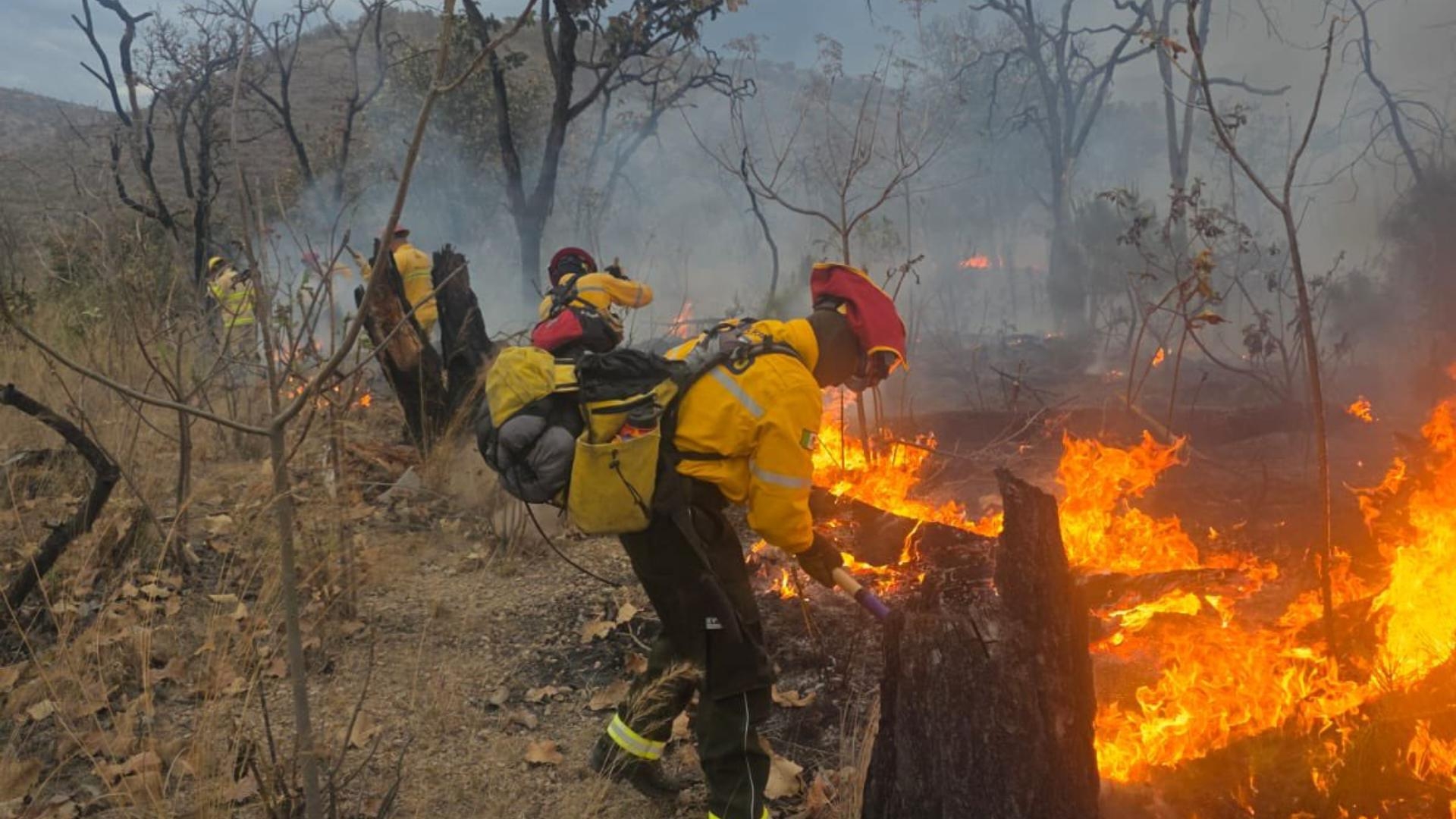 Activan Alerta Atmosférica en 4 Municipios de Jalisco Tras Incendio en ...