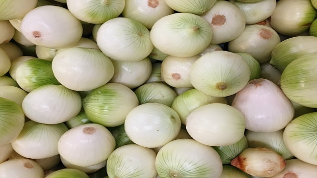 Beneficios de incluir cebolla cruda en tu alimentación | N+