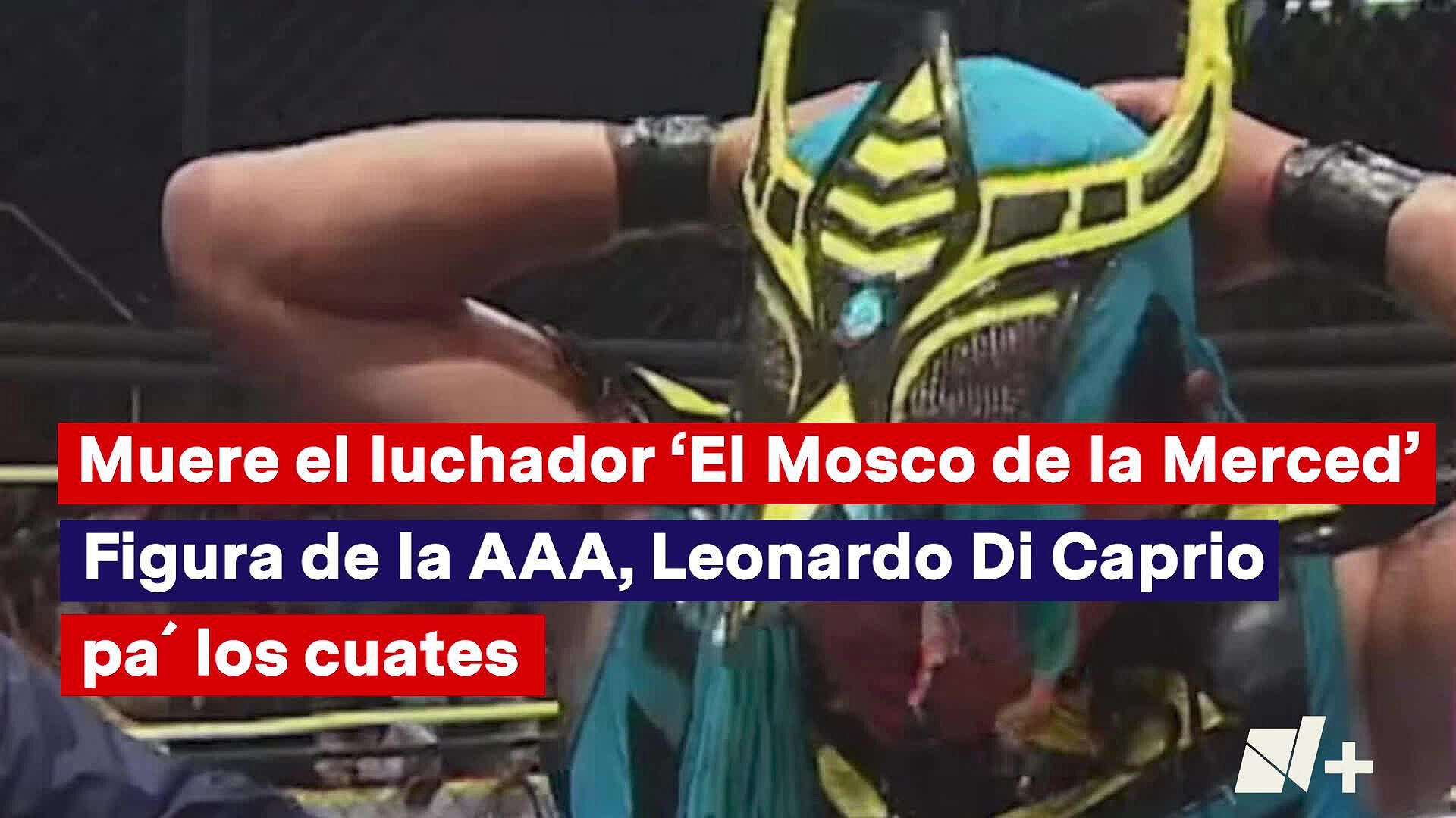 Muere el Luchador ‘El Mosco de la Merced’, Figura de la AAA ¿Quién Era ...