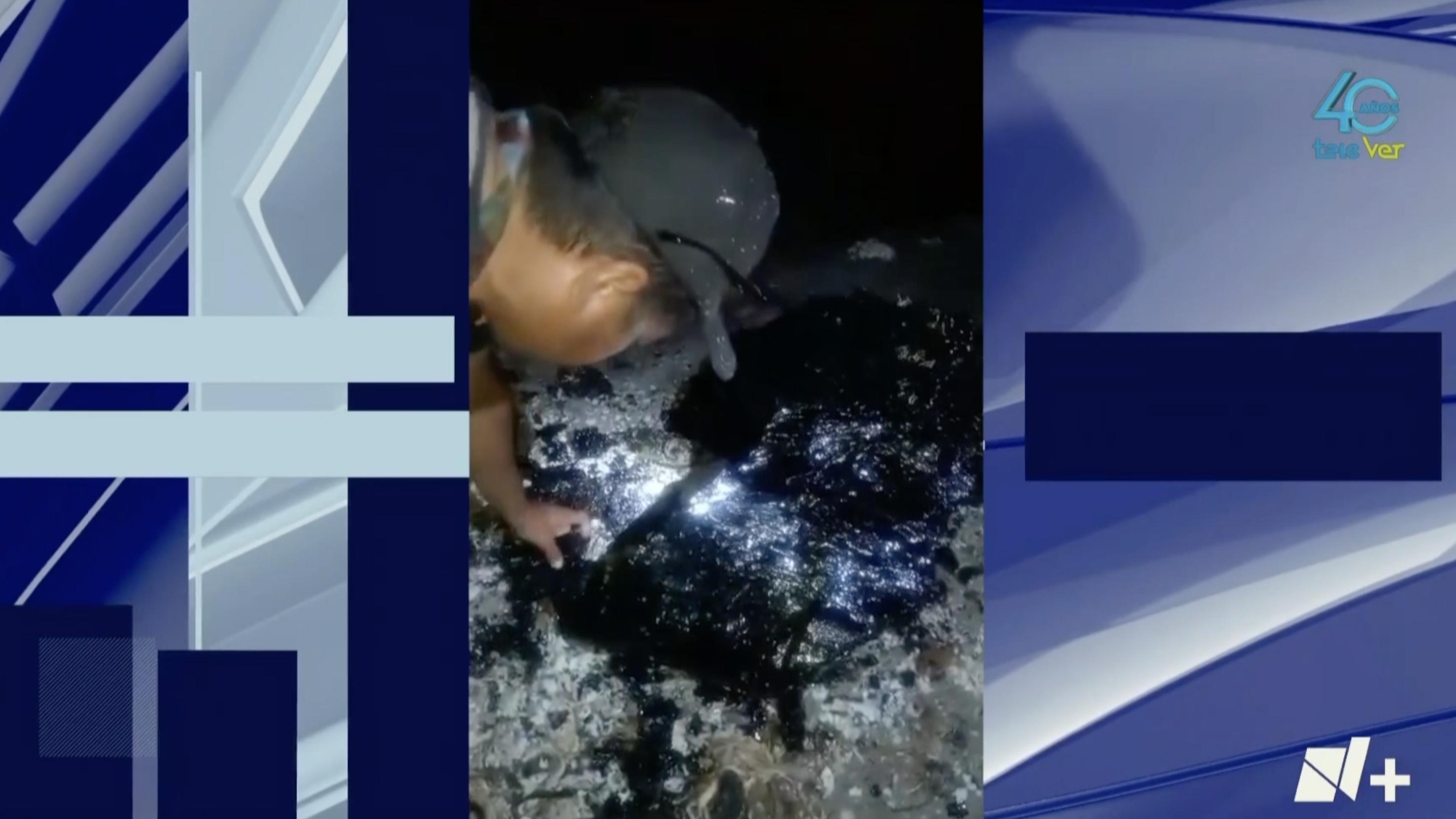 Reportan Llegada de Chapopote a Playas de Veracruz | N+