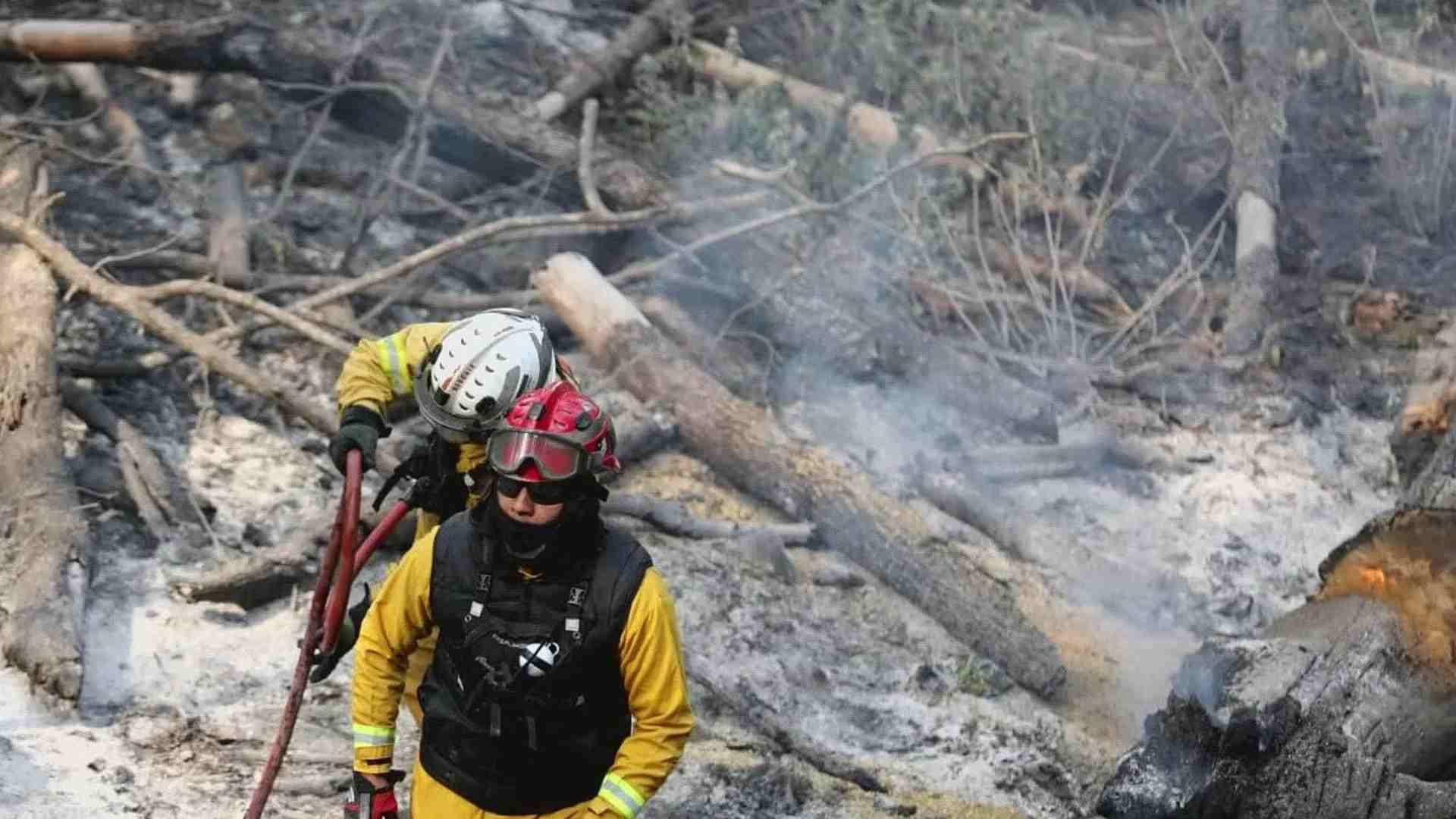 Combaten por Tierra y Aire Incendio Forestal | N+
