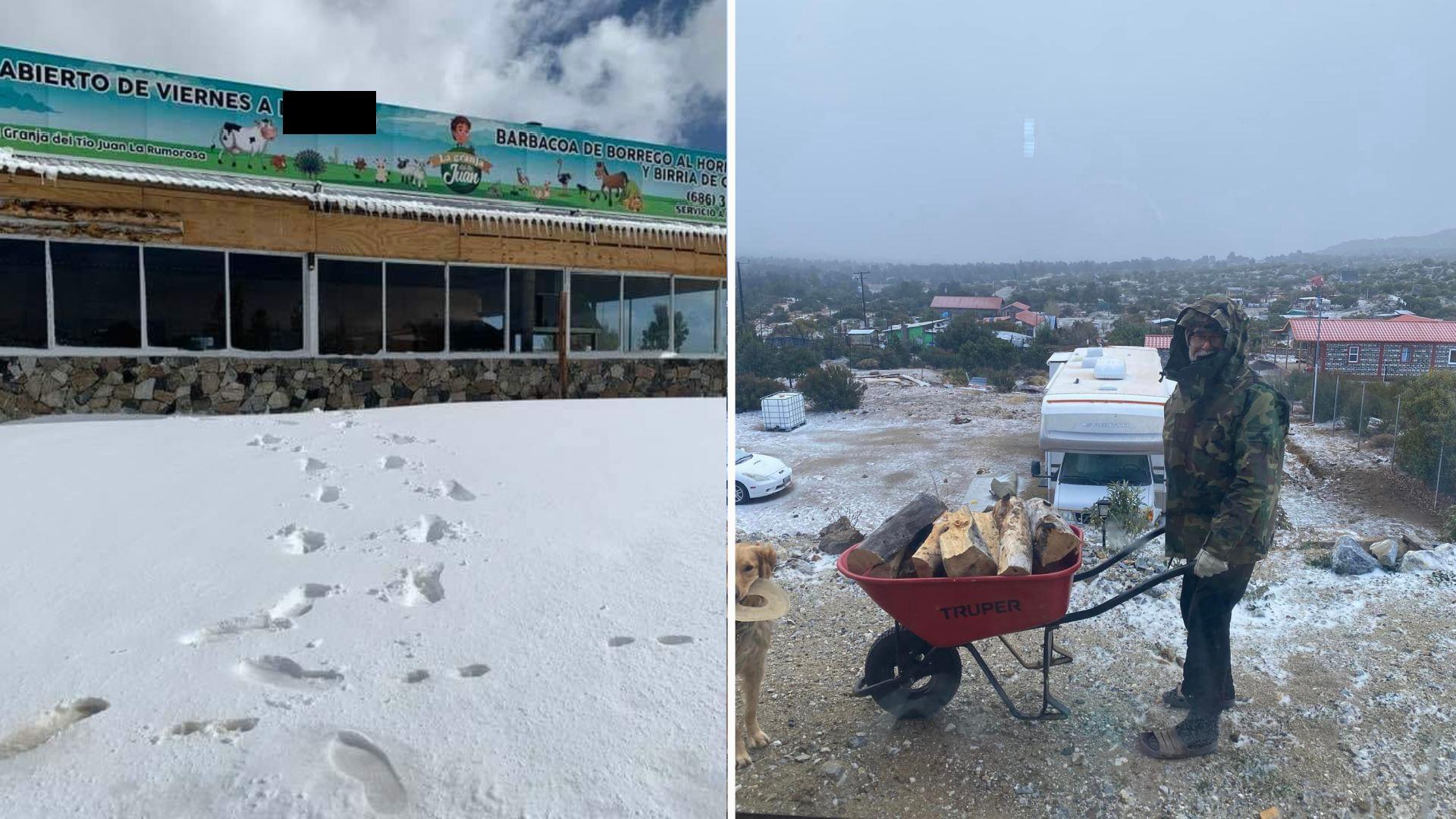 Cae la Primera Nevada del 2024 en La Rumorosa, Baja California | N+