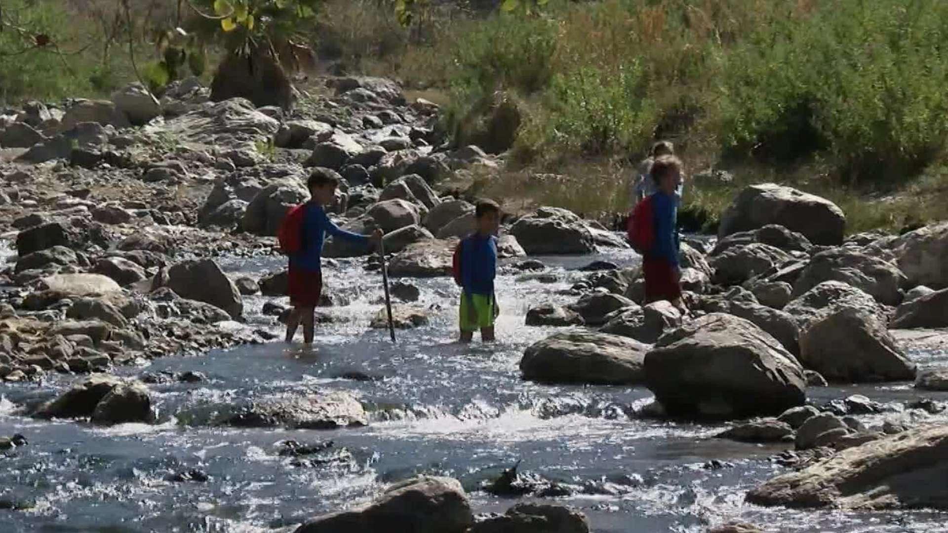 El Bosque La Primavera Cumple 44 Años de Ser Área Natural Protegida | N+
