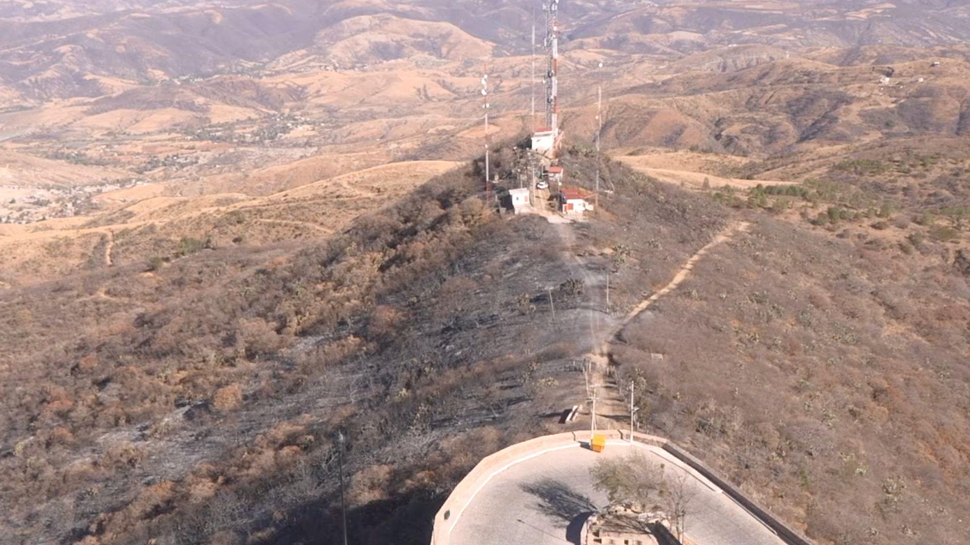 Fueron Alrededor de 40 Hectáreas las Consumidas por las Llamas en el ...