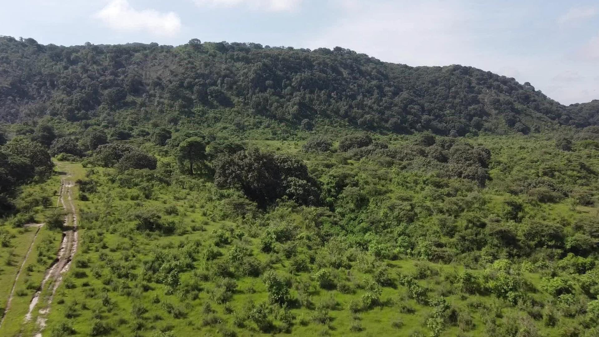 Buscan que Bosque La Primavera sea Reconocido por la UNESCO como ...