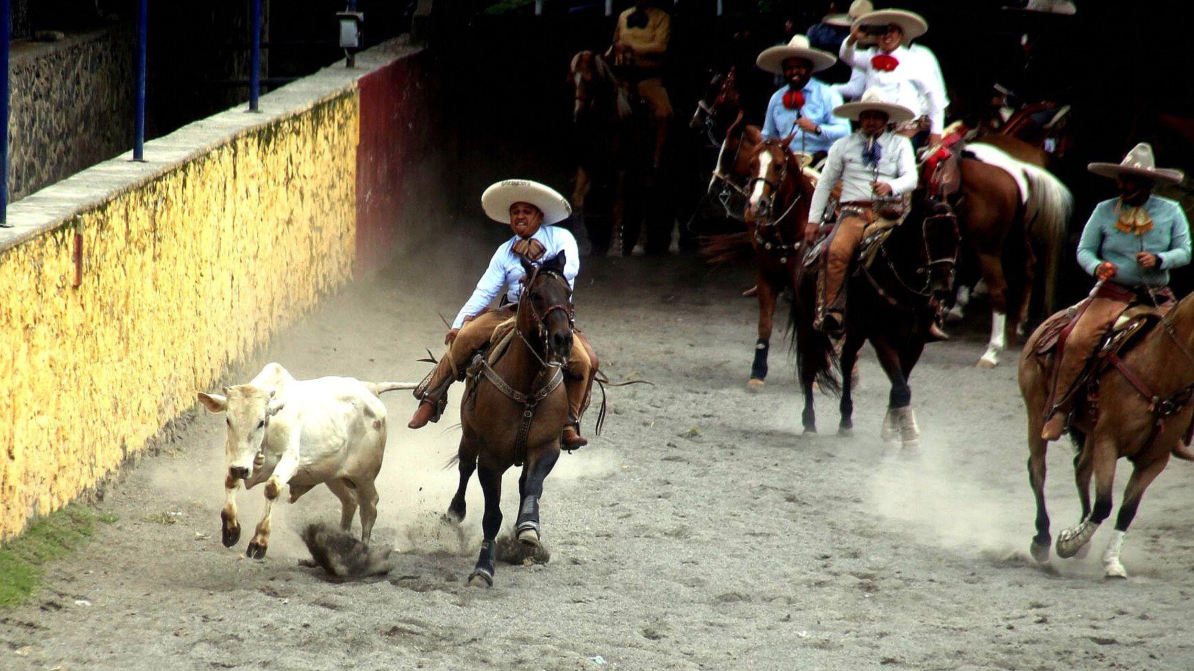 ¿Conoces la Historia del Coleadero en Jalisco? | N+