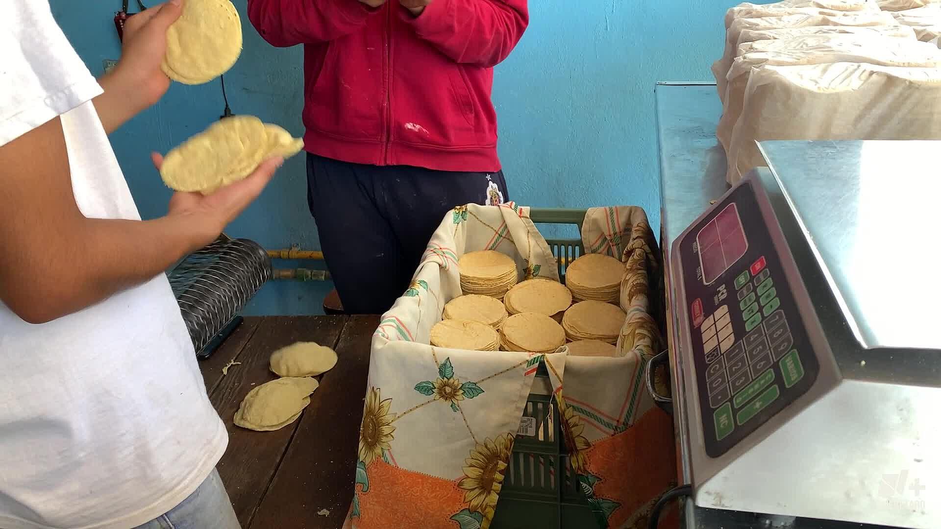 El Precio de la Tortilla se Posiciona como la Más Cara de la Última ...