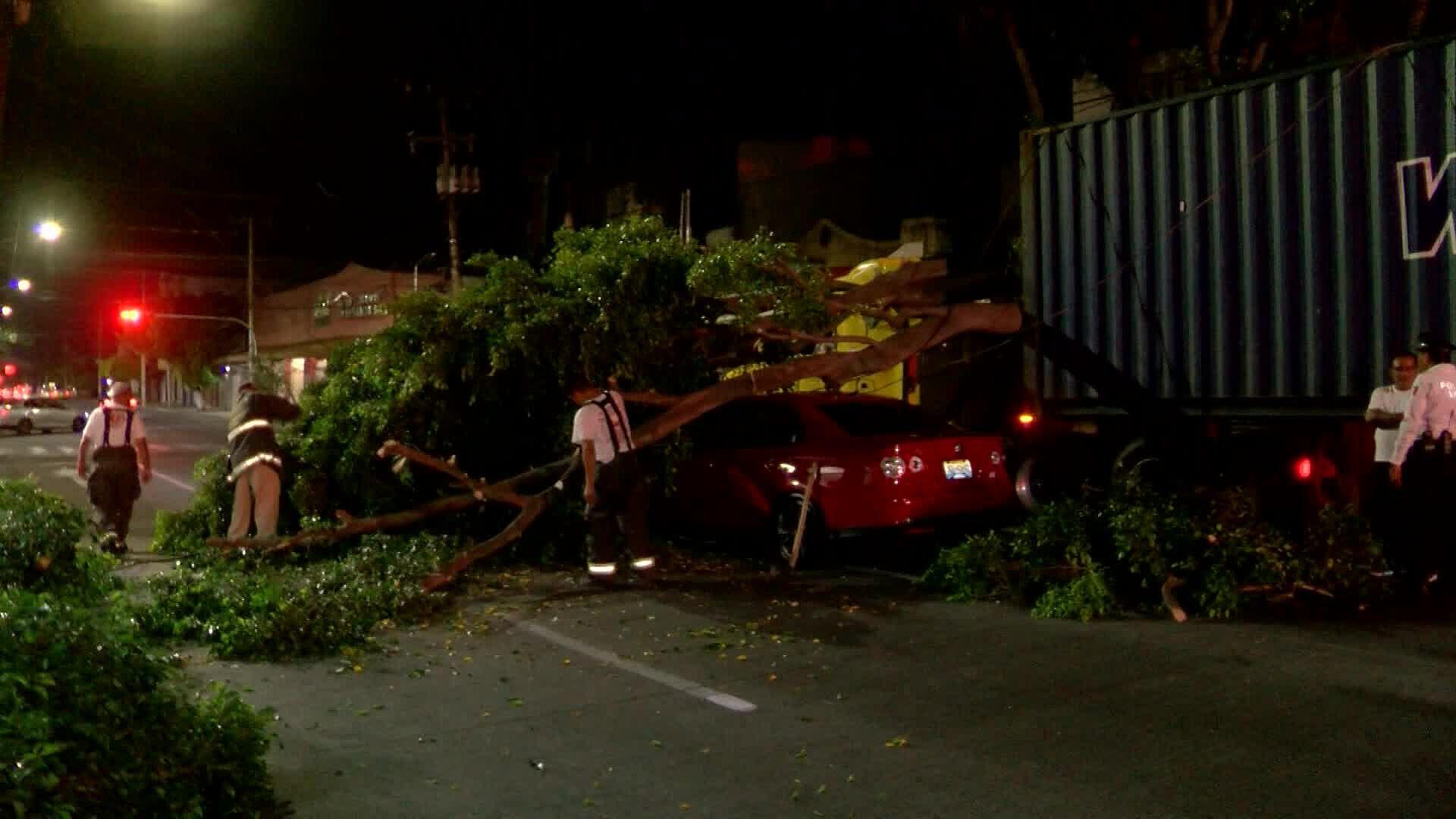 Tráiler Tumba Rama y Esta Cae Sobre Un Auto en el Que Viajaban 2 ...